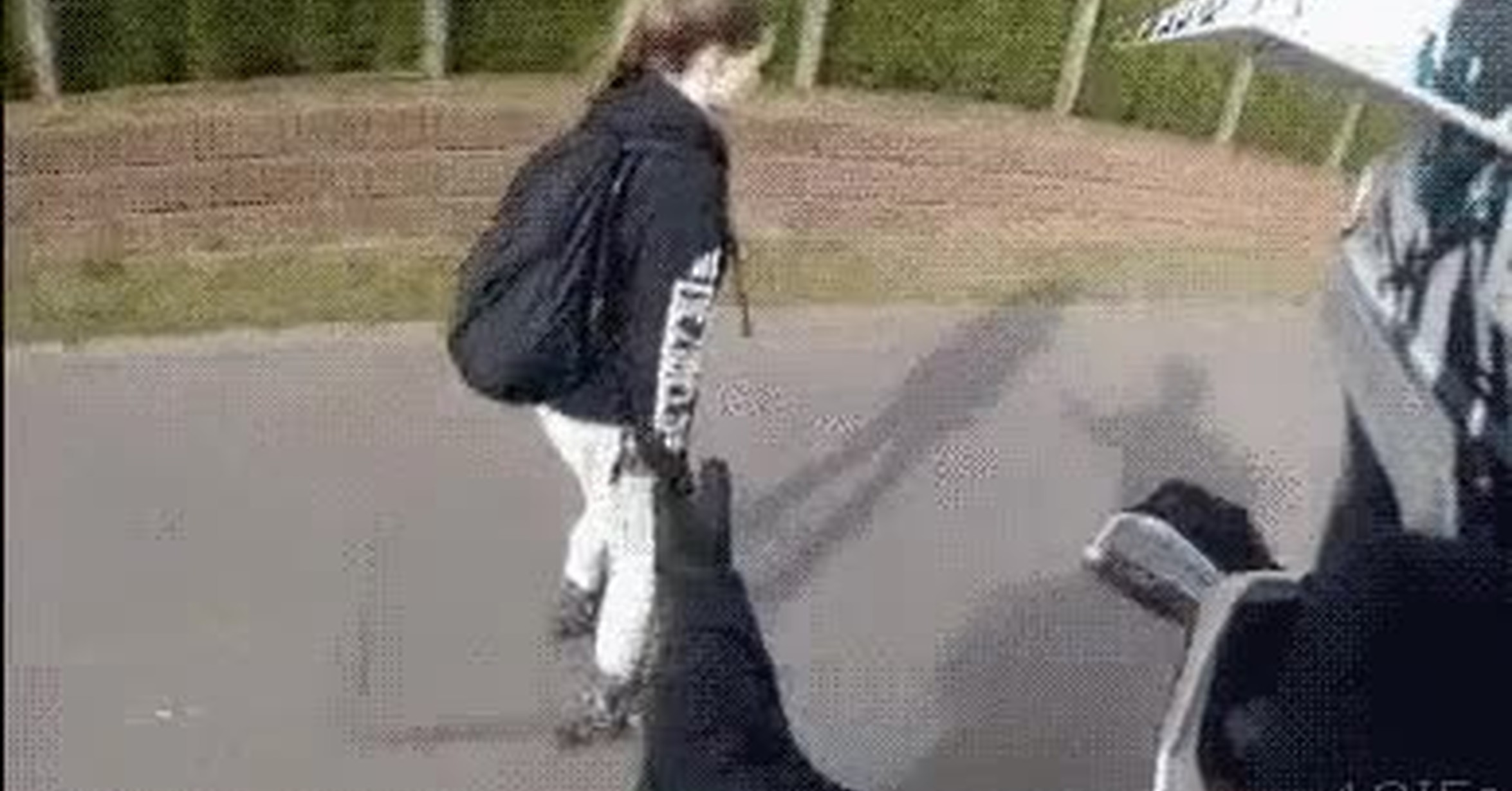 ¡Vaya GIF! / Ven conmigo si quieres llegar a clase a tiempo