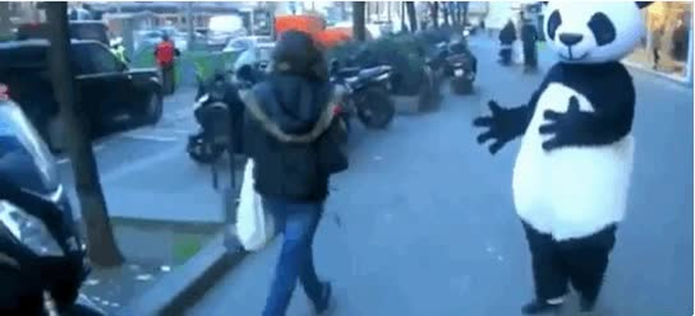 ¡Vaya GIF! / Sospecha siempre que veas un panda por la calle