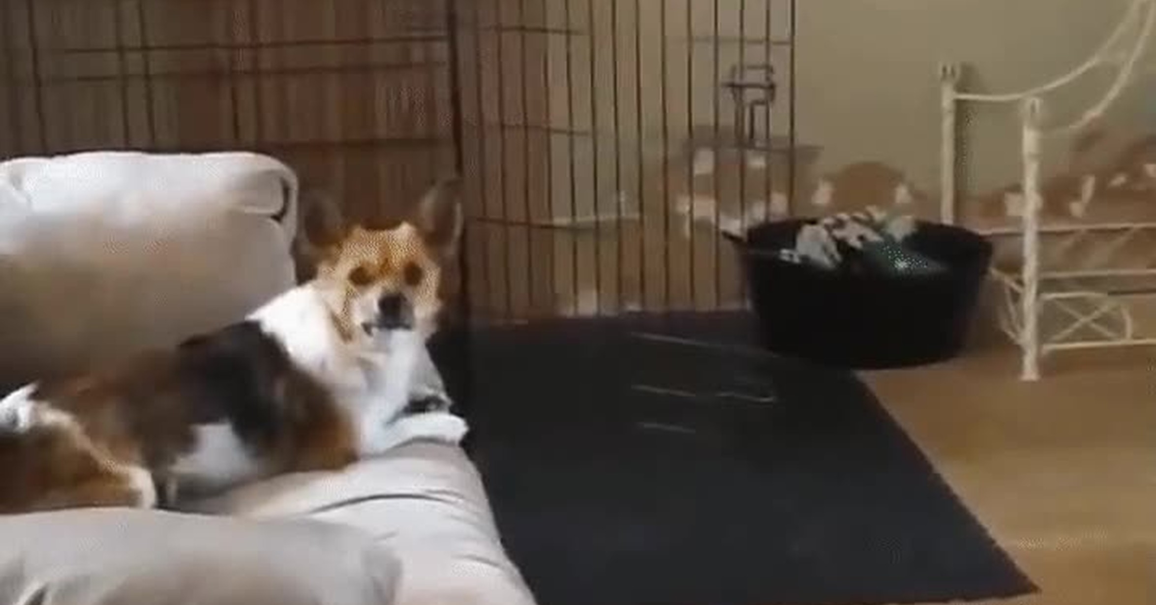 ¡Vaya GIF! / Cuando te pegas un tortazo pero intentas reaccionar de ...