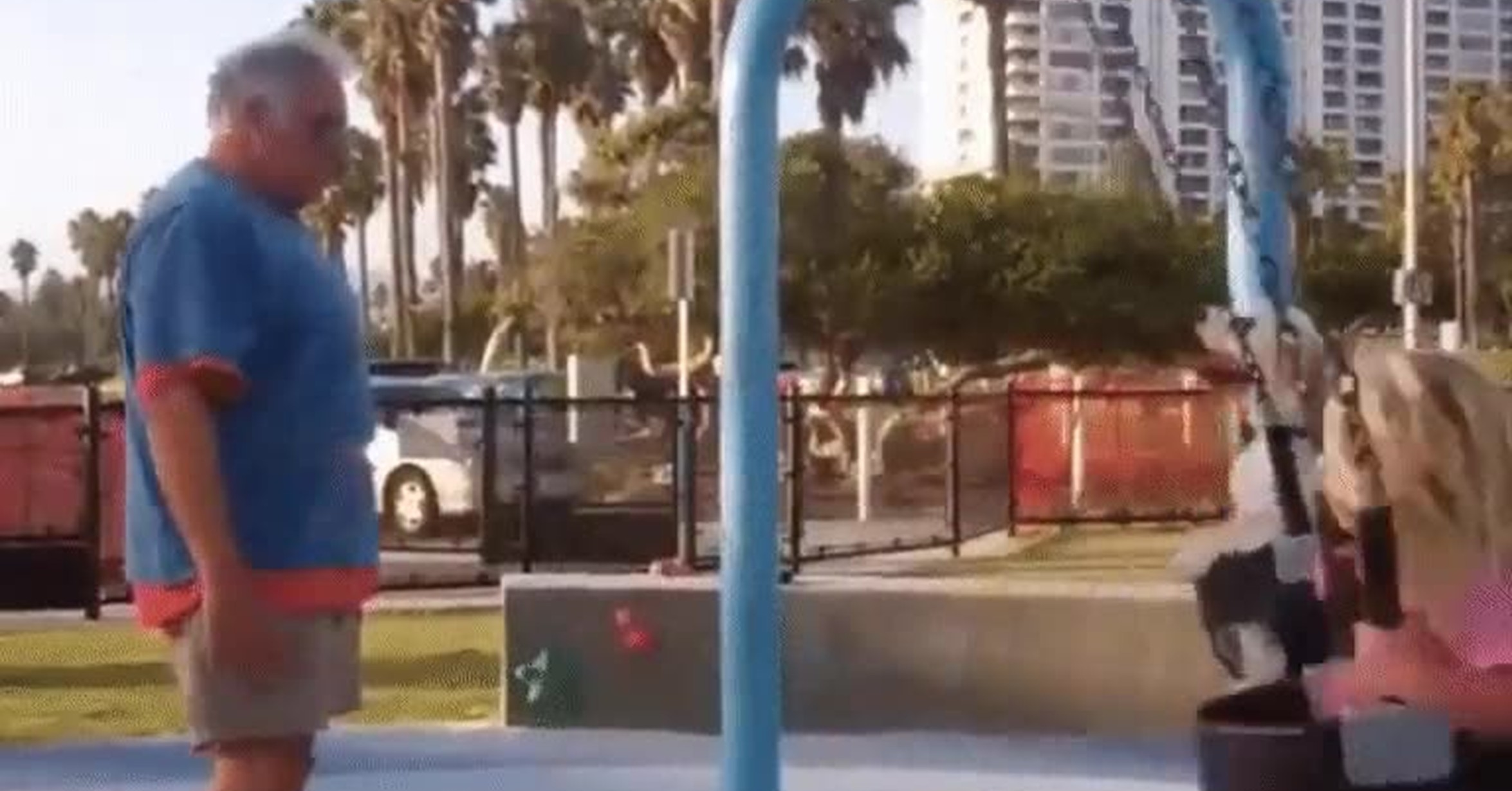 ¡Vaya GIF! / Un día como otro cualquiera en el parque