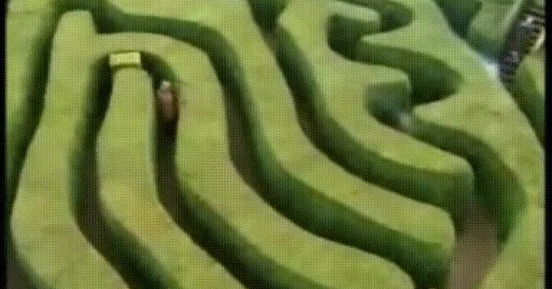 ¡Vaya GIF! / Es imposible salir de este laberinto con vida