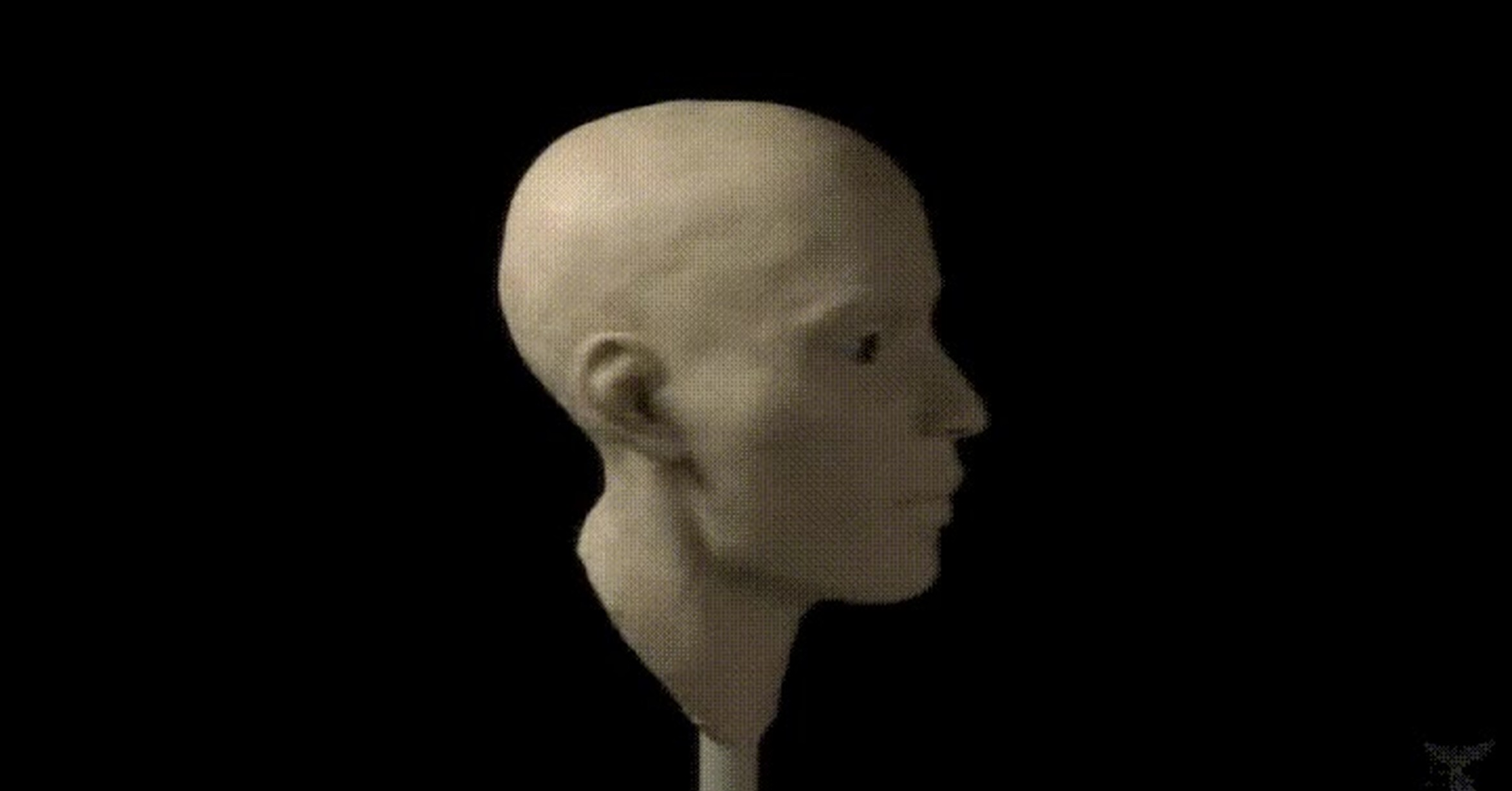 ¡Vaya GIF! / Recreando la cara de una momia egipcia en tres dimensiones