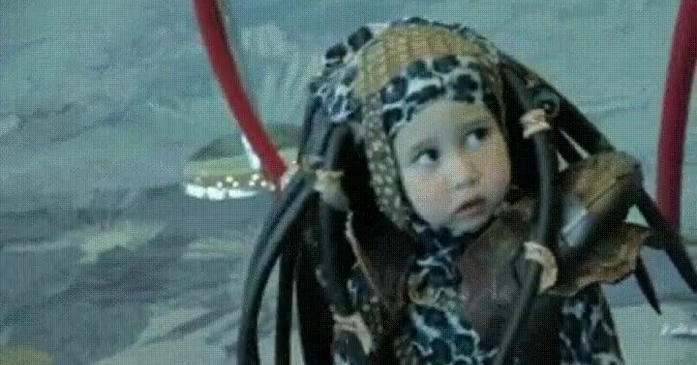 ¡Vaya GIF! / El Predator más adorable que has visto y que verás jamás
