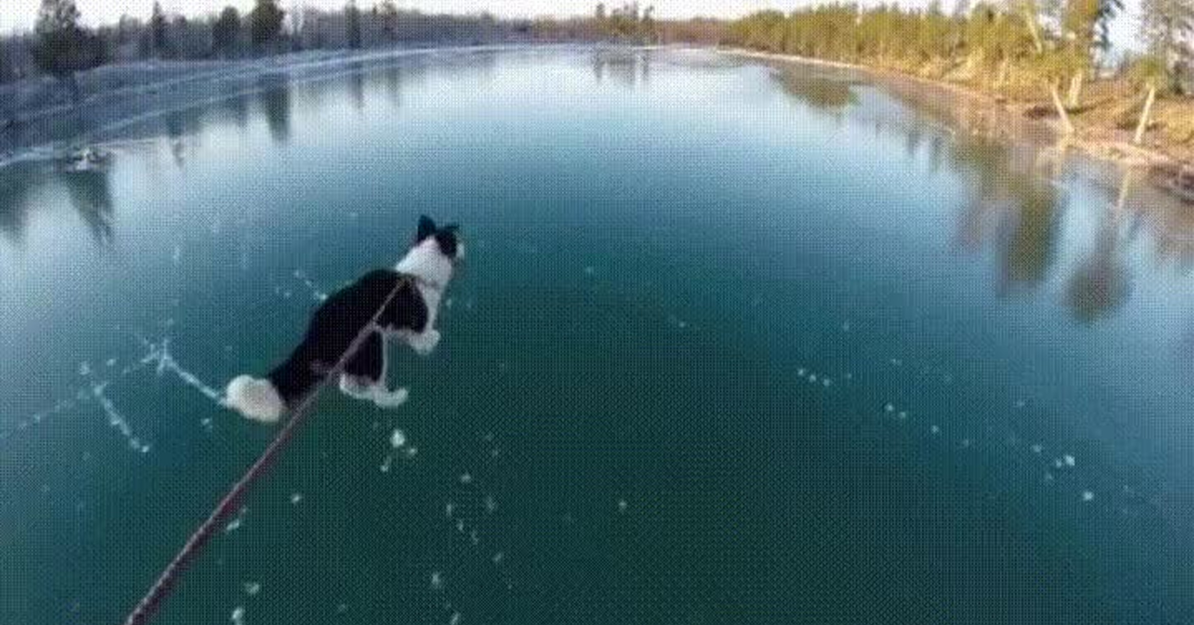 ¡Vaya GIF! / Cuando tienes la suerte de ser el primero en patinar en un ...