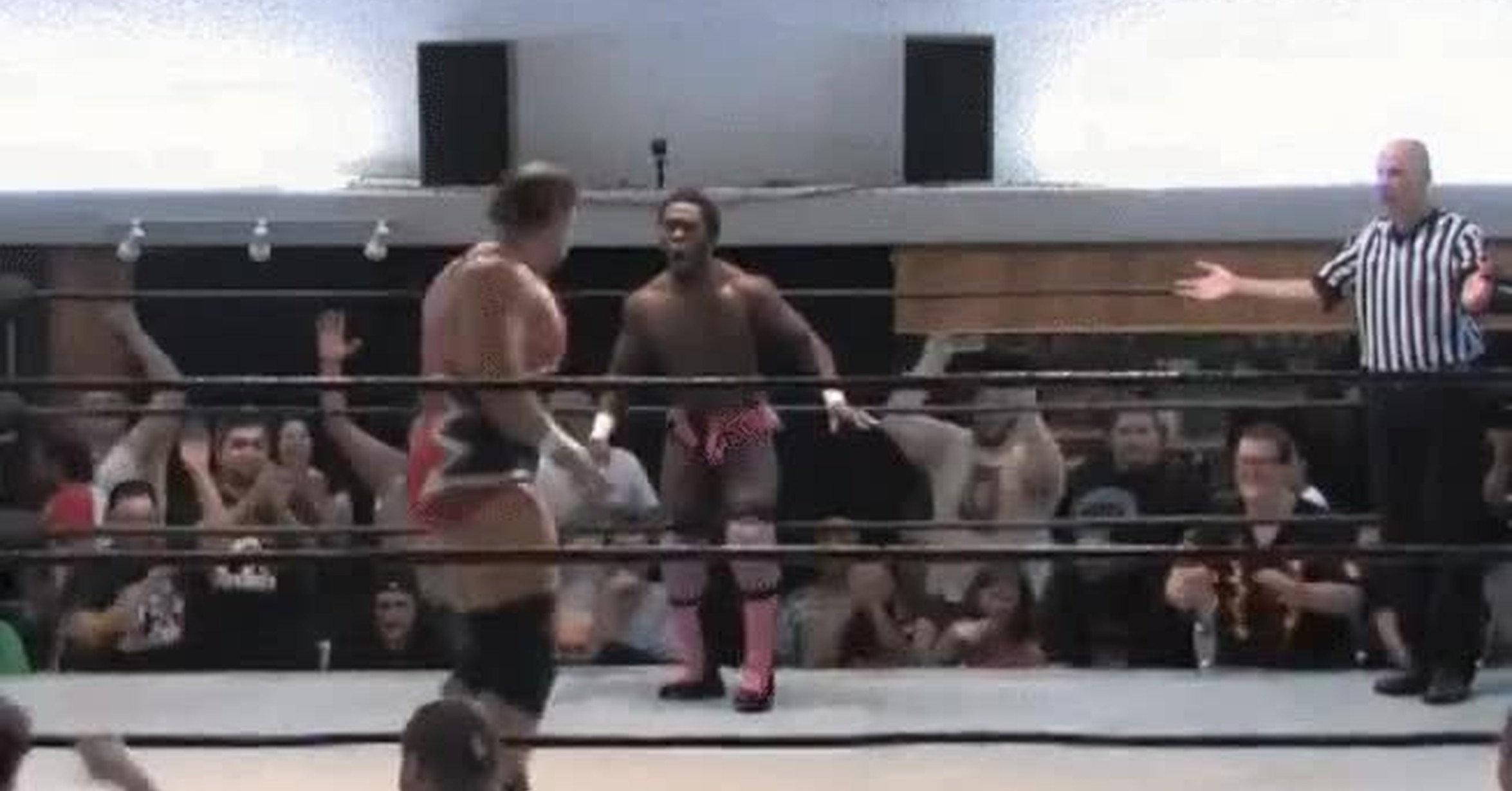 ¡Vaya GIF! / La mejor manera de volver a pelear cuando pierdes el ...