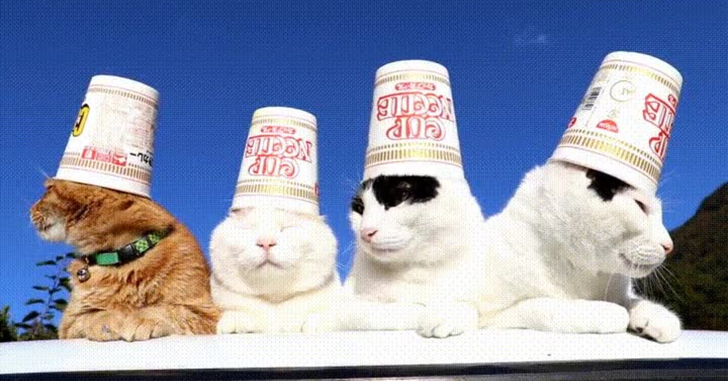 ¡Vaya GIF! / Tú y tus amigos durante el típico domingo de resaca