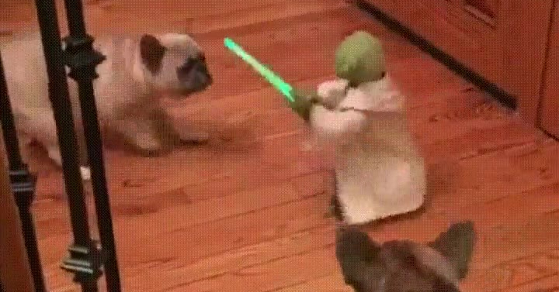 ¡Vaya GIF! / La batalla más épica que se ha visto en toda la saga Star Wars