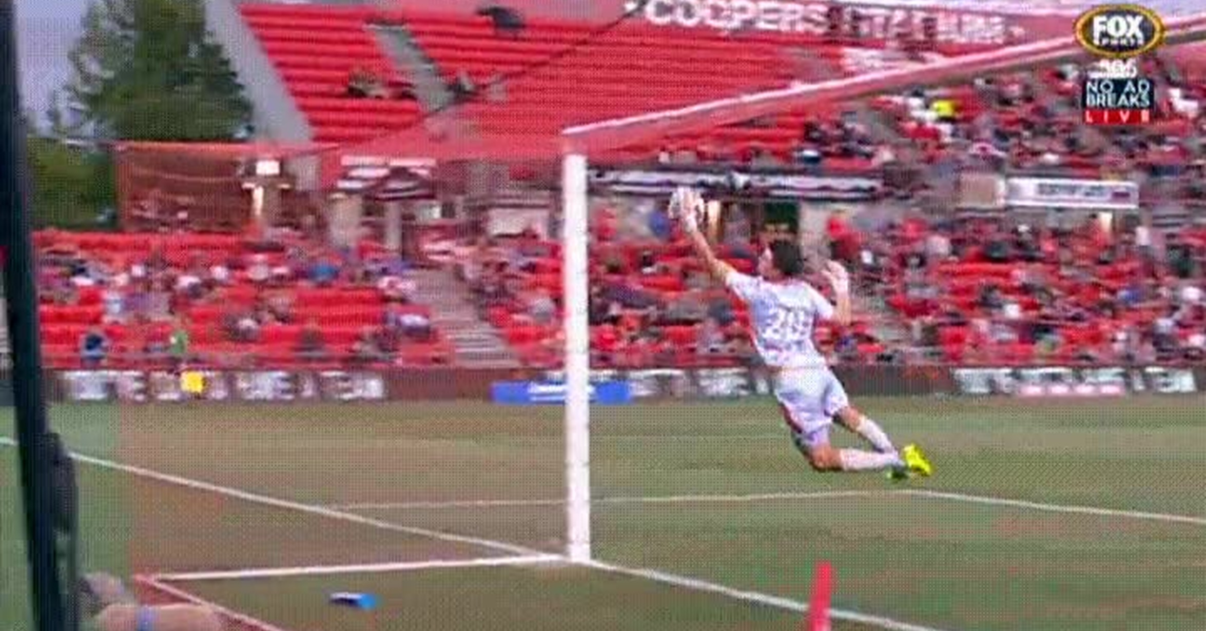 ¡Vaya GIF! / Porteros tan profesionales que ponen en peligro su salud ...