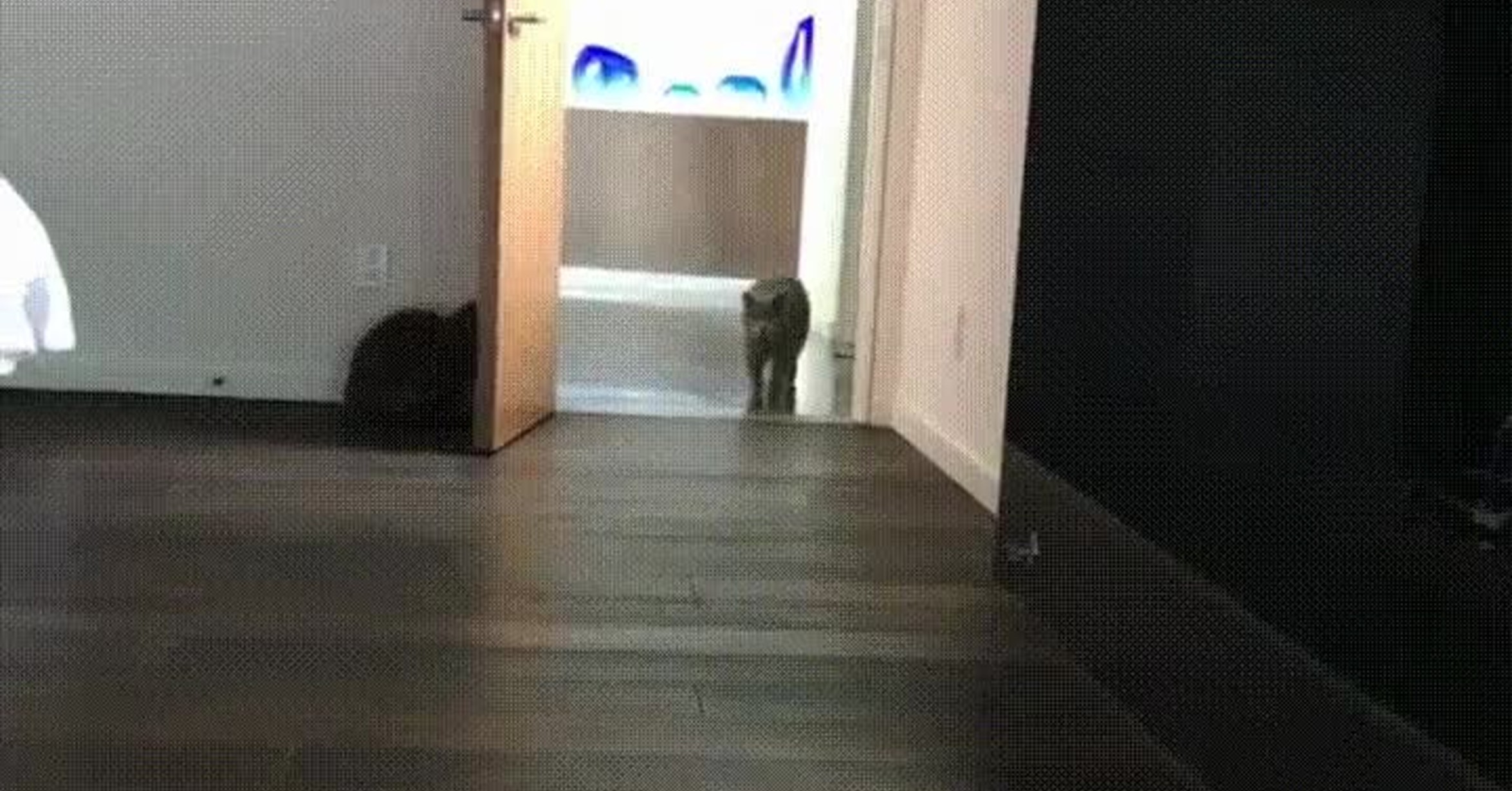 ¡Vaya GIF! / Cuando tu hermano decide esconderse para darte un susto de ...