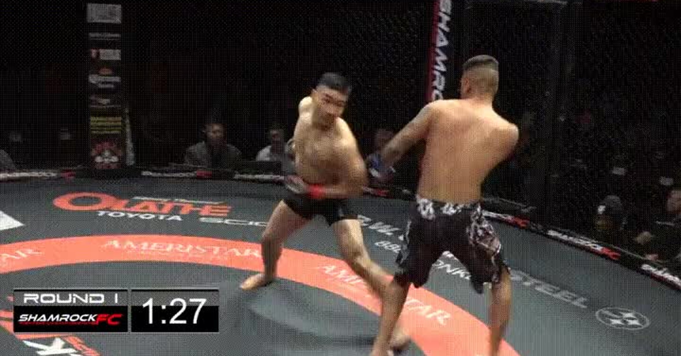¡Vaya GIF! / El espectacular DOBLE K.O de dos luchadores de MMA