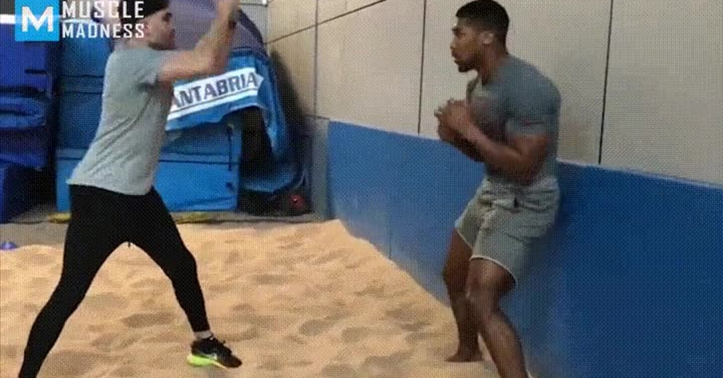 ¡Vaya GIF! / Boxeador entrenando sus reflejos de forma espectacular
