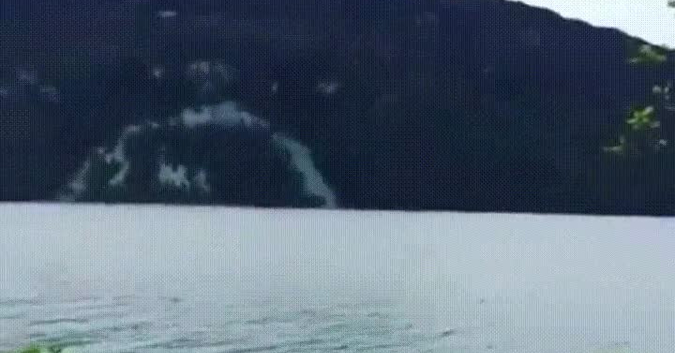 ¡Vaya GIF! / Primer vídeo 100% real NO FAKE del Monstruo del Lago Ness