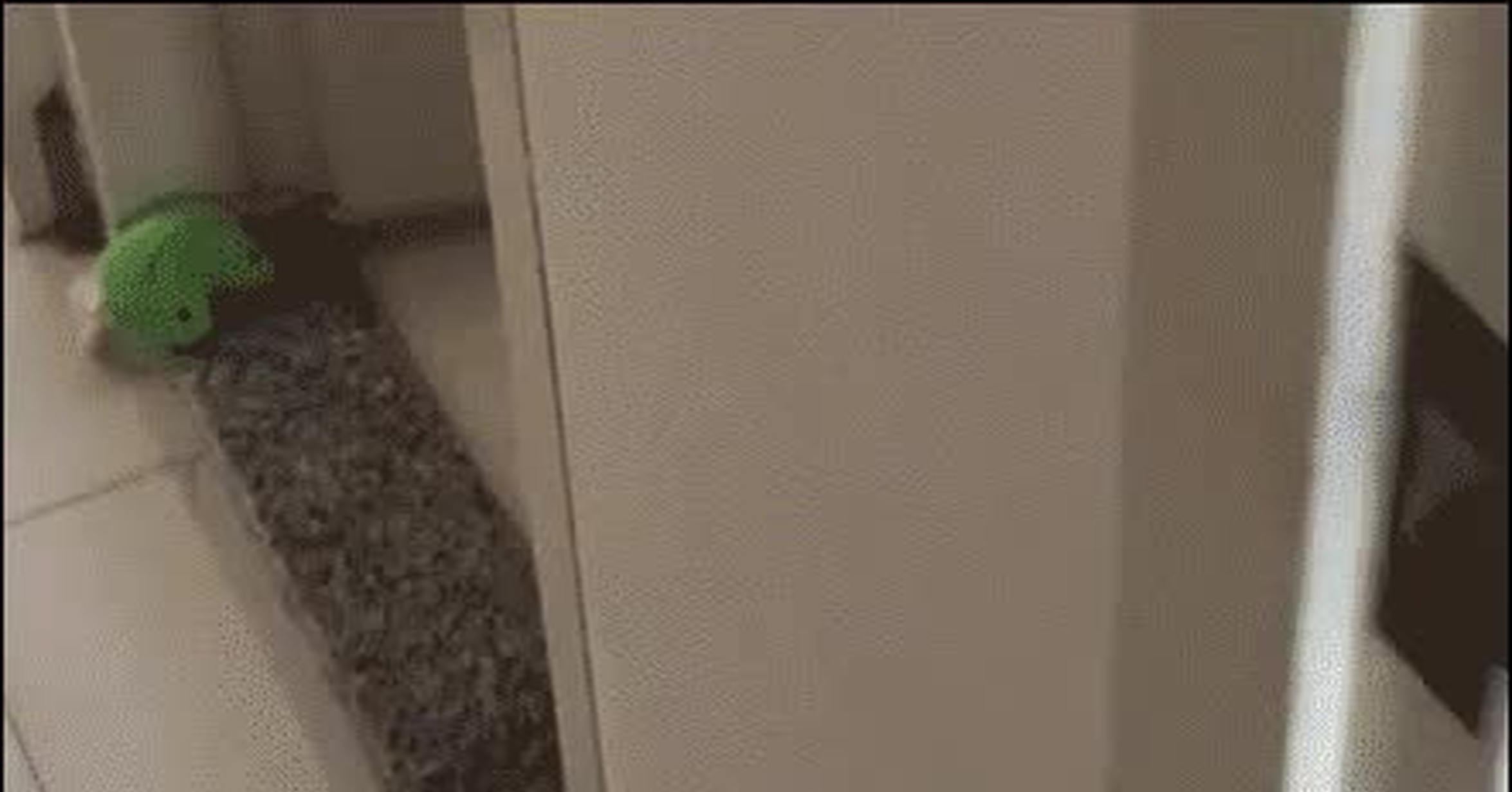 ¡Vaya GIF! / Yo después de un largo día de trabajo...