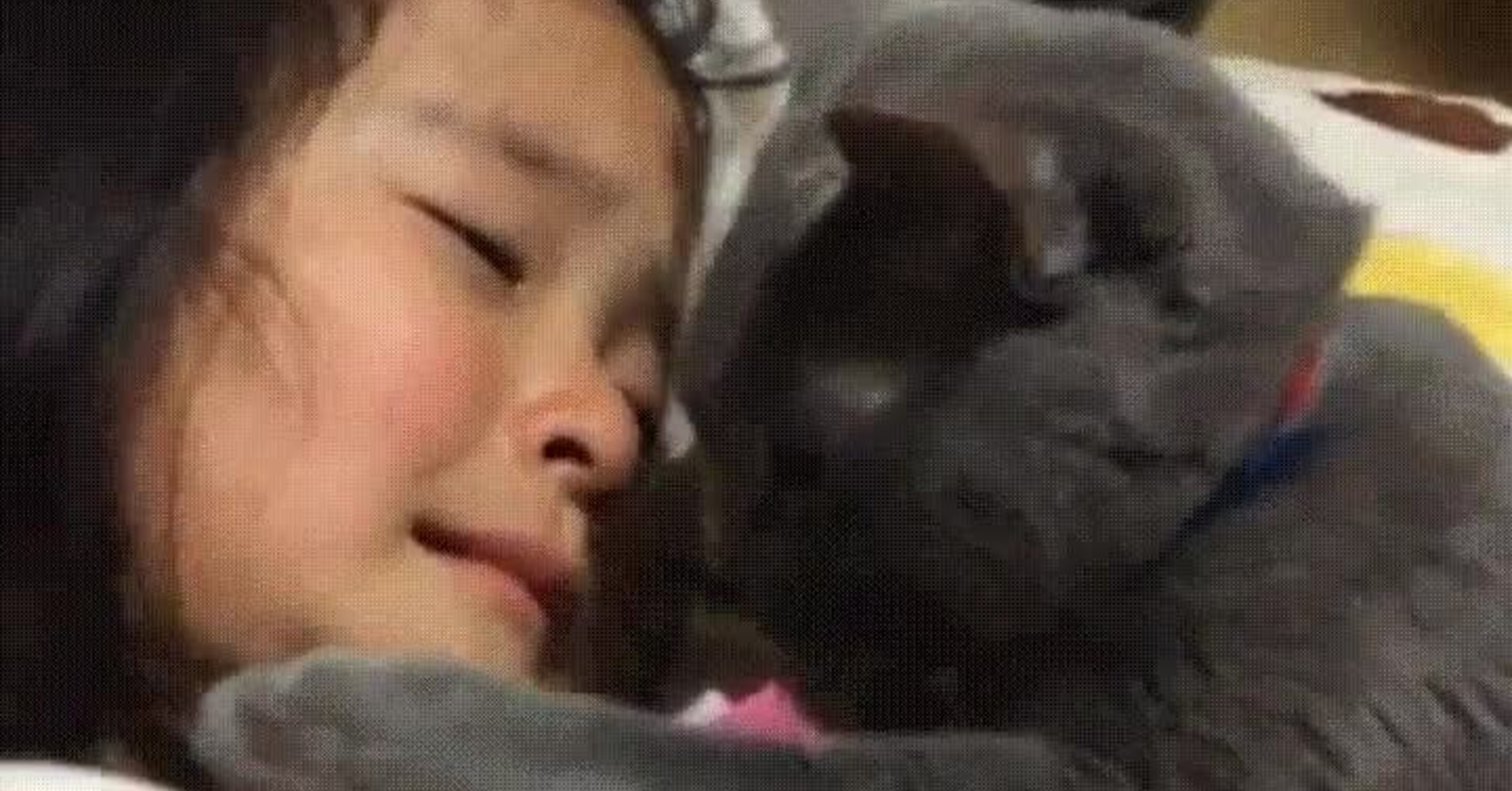 ¡Vaya GIF! / Tranquila humana, ya encontrarás a otro que te quiera