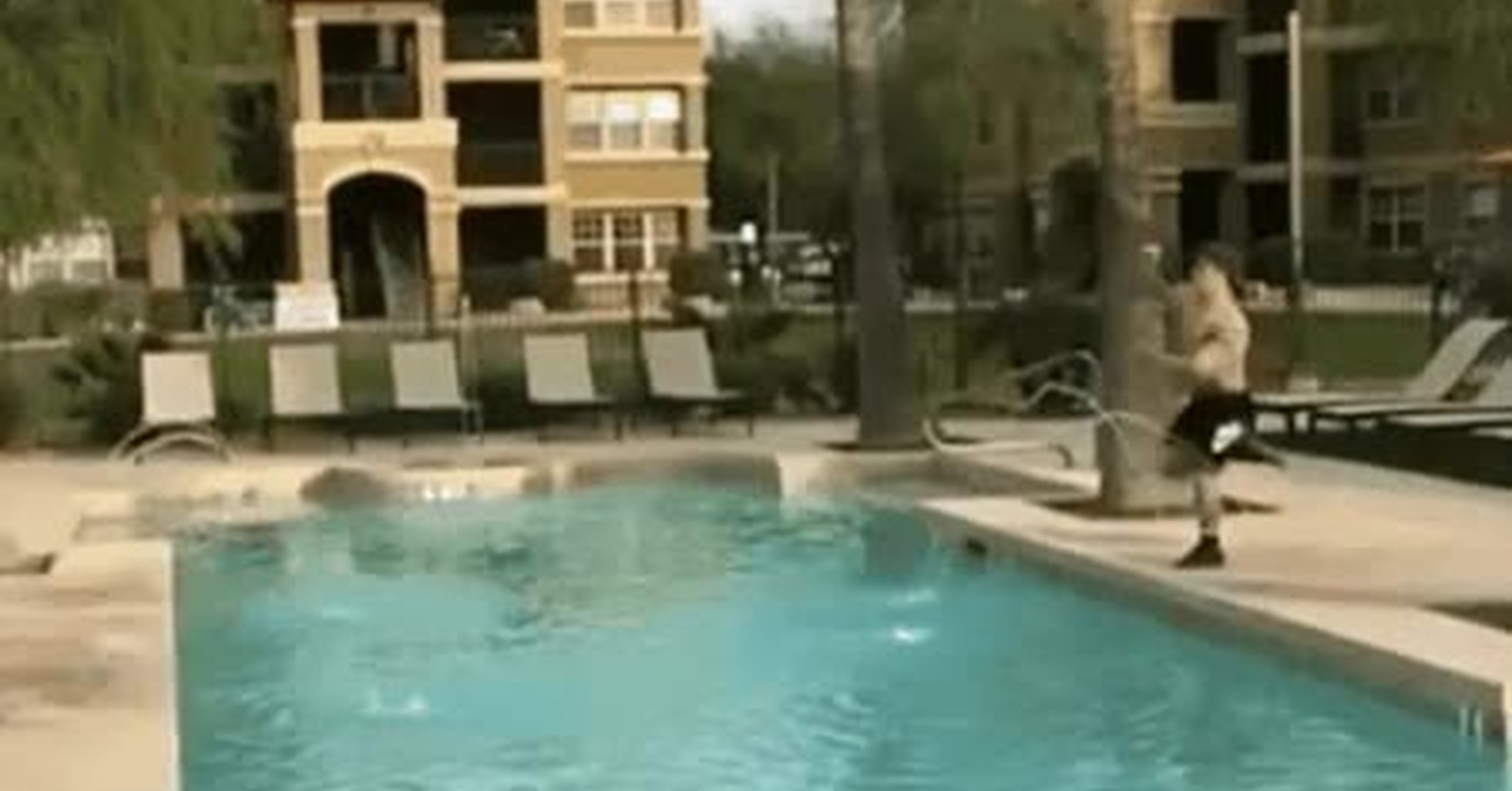 ¡Vaya GIF! / Saltando de punta a punta de la piscina. ¿Lo conseguirá?