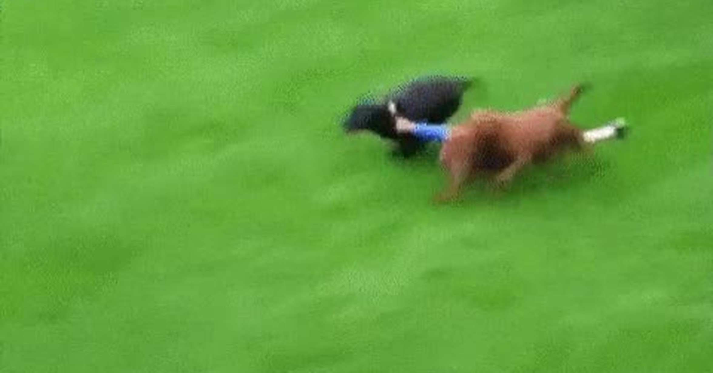 ¡Vaya GIF! / Ir en bici ya ha pasado de moda. Ahora lo que se lleva es esto