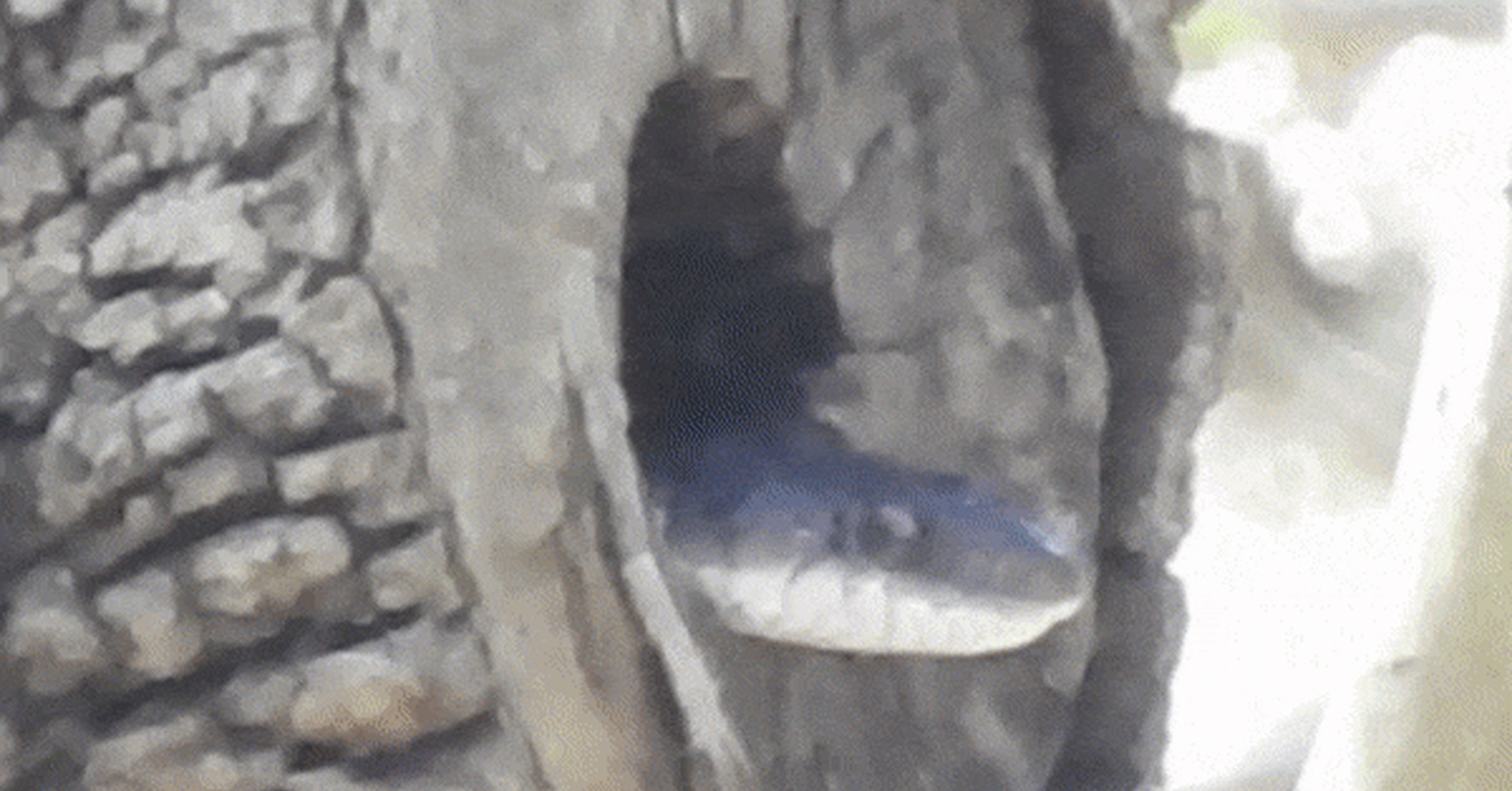 ¡Vaya GIF! / Me he cagado de miedo cuando he visto lo que se esconde en ...