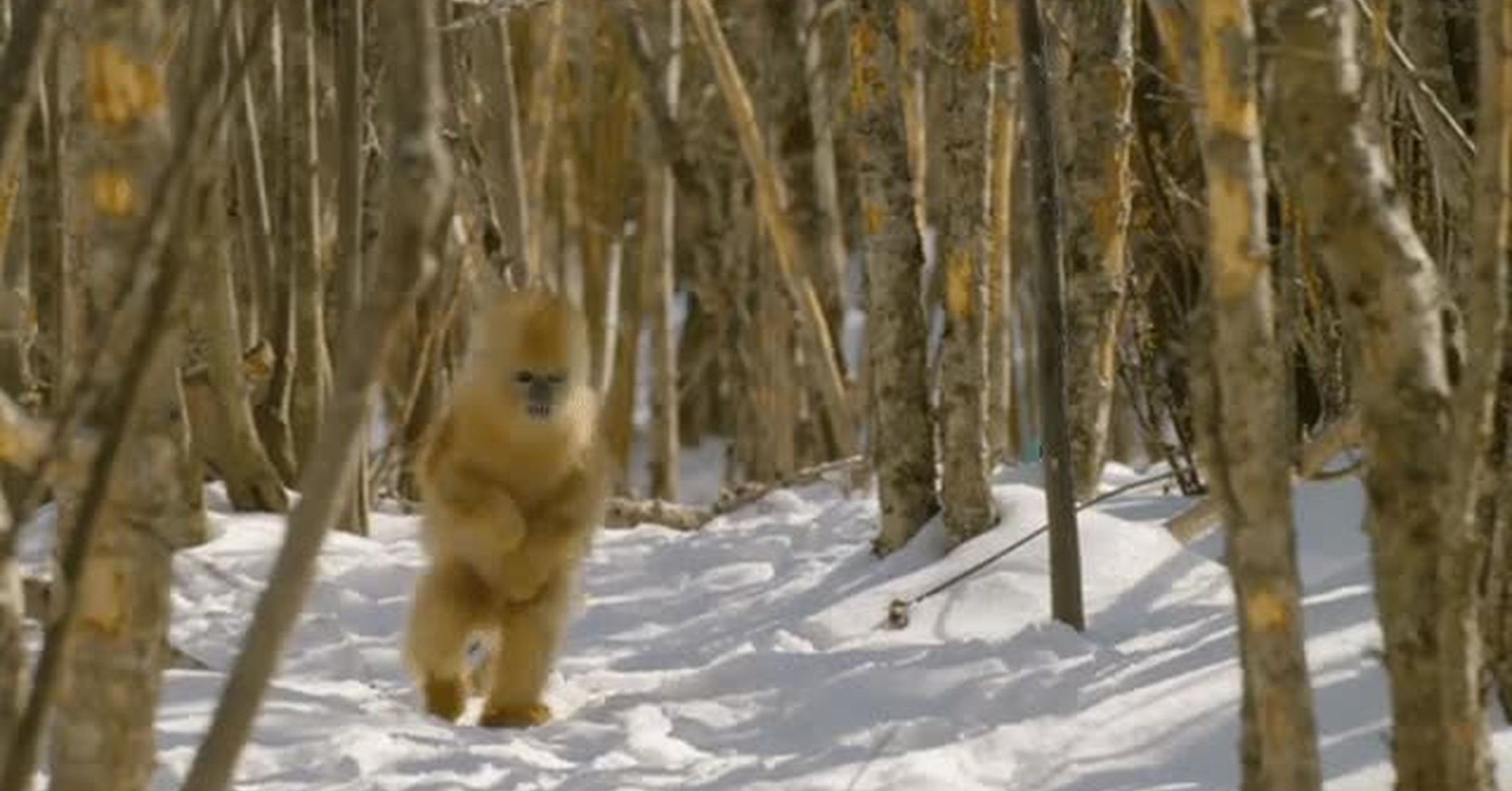 ¡Vaya GIF! / Cuando tienes que ir al lavabo pero no aguantas más