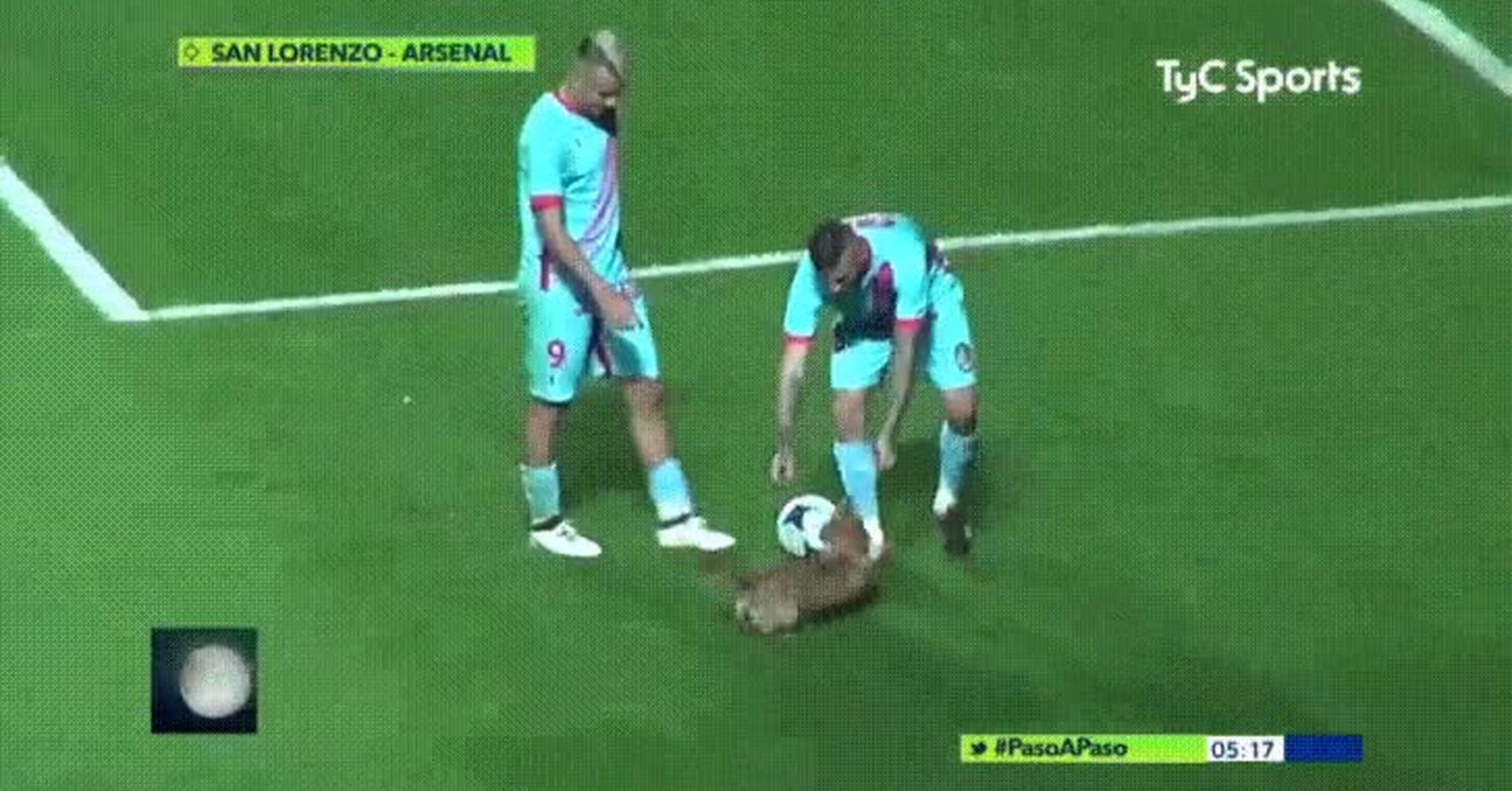 ¡Vaya GIF! / Perros con ganas de cachondeo en un campo de fútbol