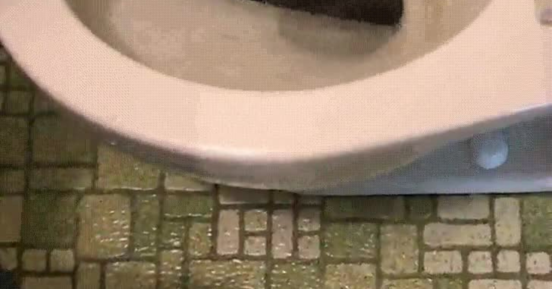 ¡Vaya GIF! / Creo que no volveré a ir al lavabo nunca más
