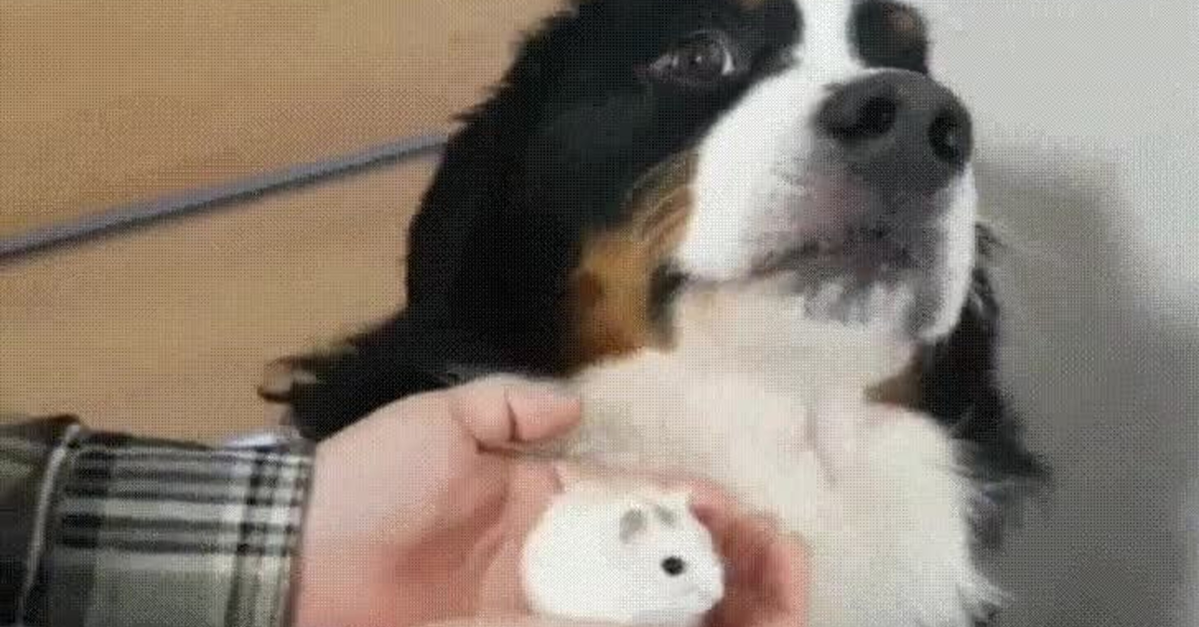 ¡Vaya GIF! / Yo cuando tengo que conocer gente