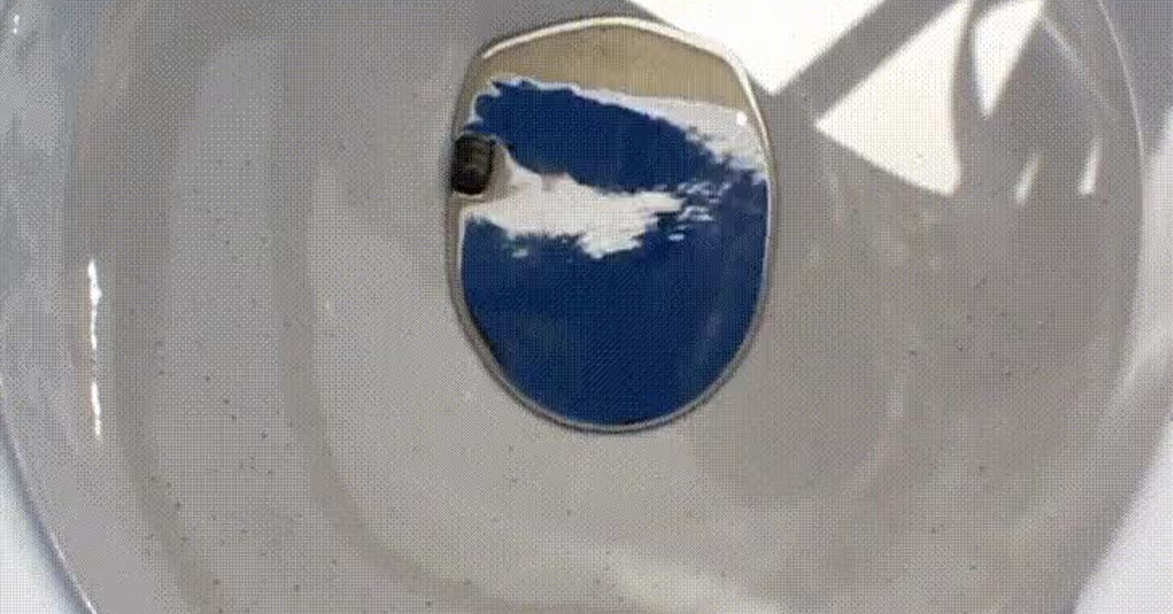 ¡Vaya GIF! / Lo que pasa cuando tiras de la cadena de un lavabo lleno ...
