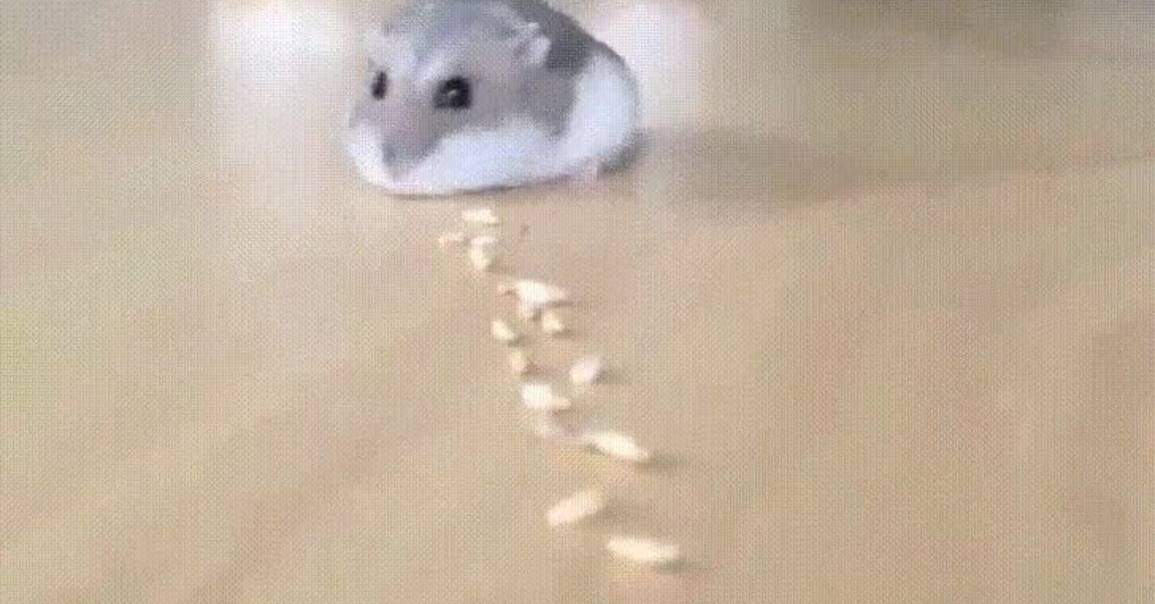 ¡Vaya GIF! / Yo cuando vuelvo a casa y me muero de hambre