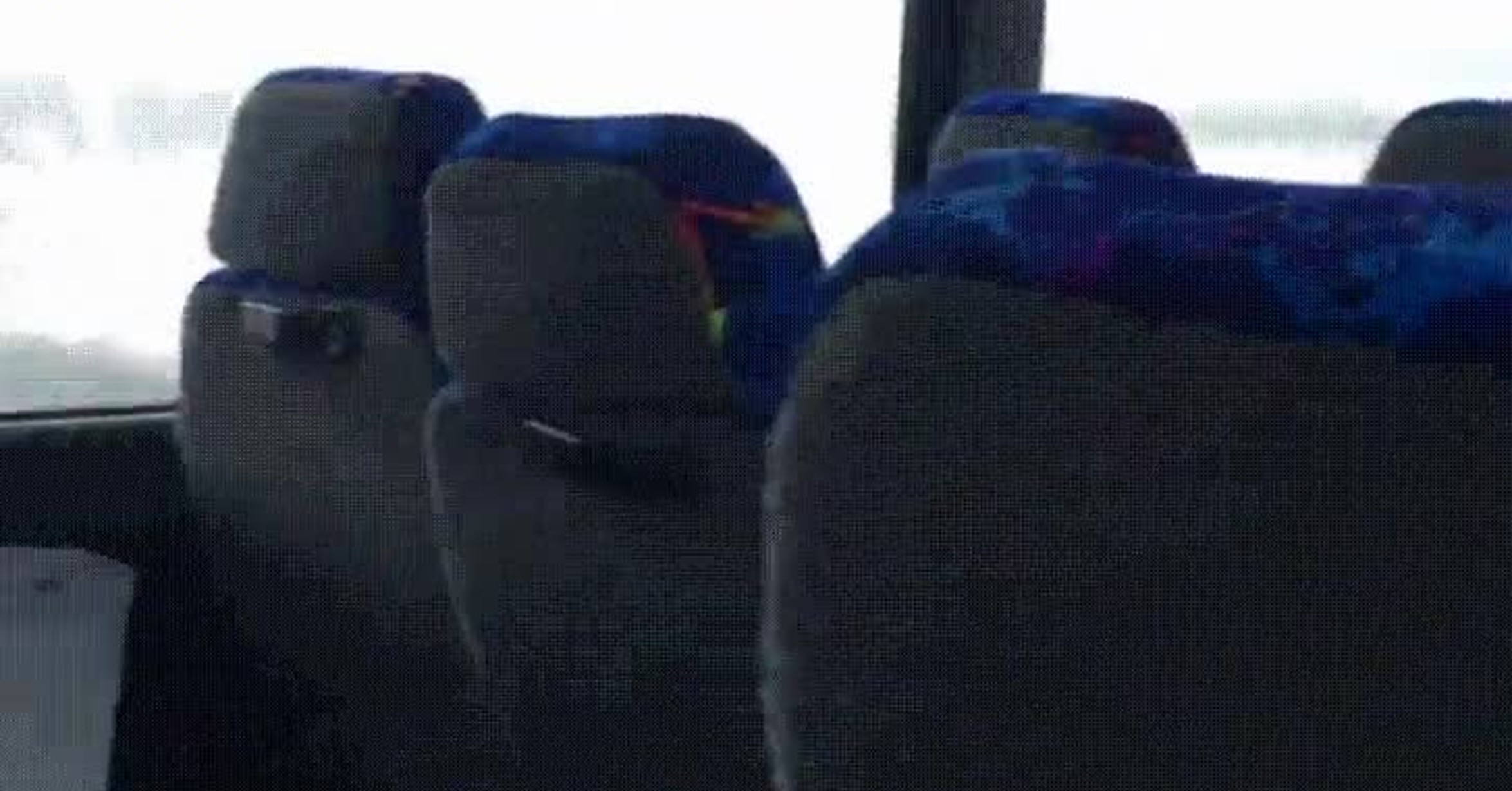 ¡Vaya GIF! / Sentarse a su lado hace cualquier viaje de bus más agradable