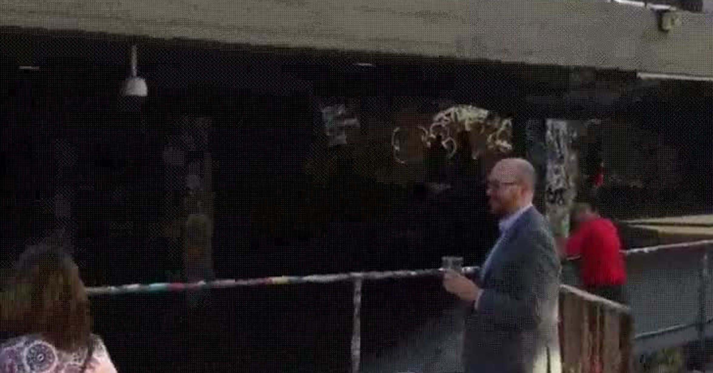 ¡Vaya GIF! / Casi no se nota que está preparado...