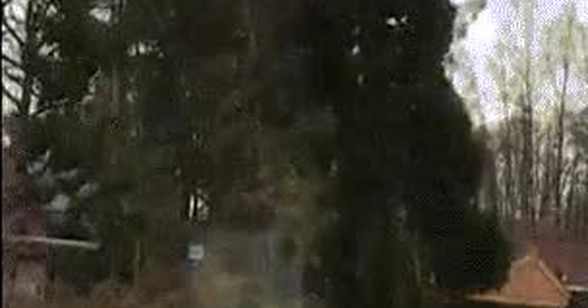 ¡Vaya GIF! / Un coche esquivando un árbol cayéndose en el último segundo