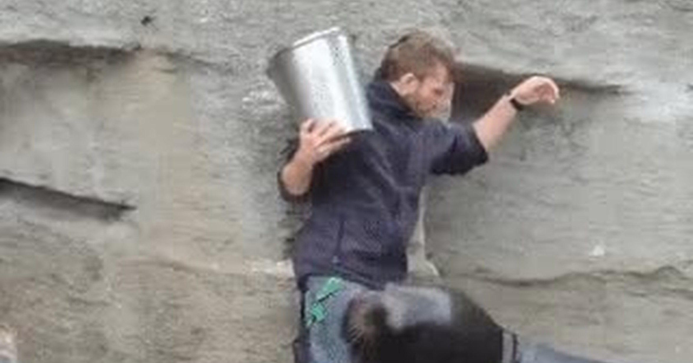 ¡Vaya GIF! / Demostrado, para conseguir comida lo importante son los ...