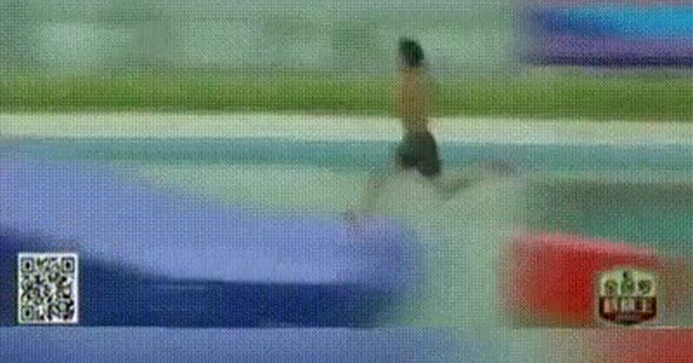 ¡Vaya GIF! / No creo que se pueda superar esa marca en Humor Amarillo