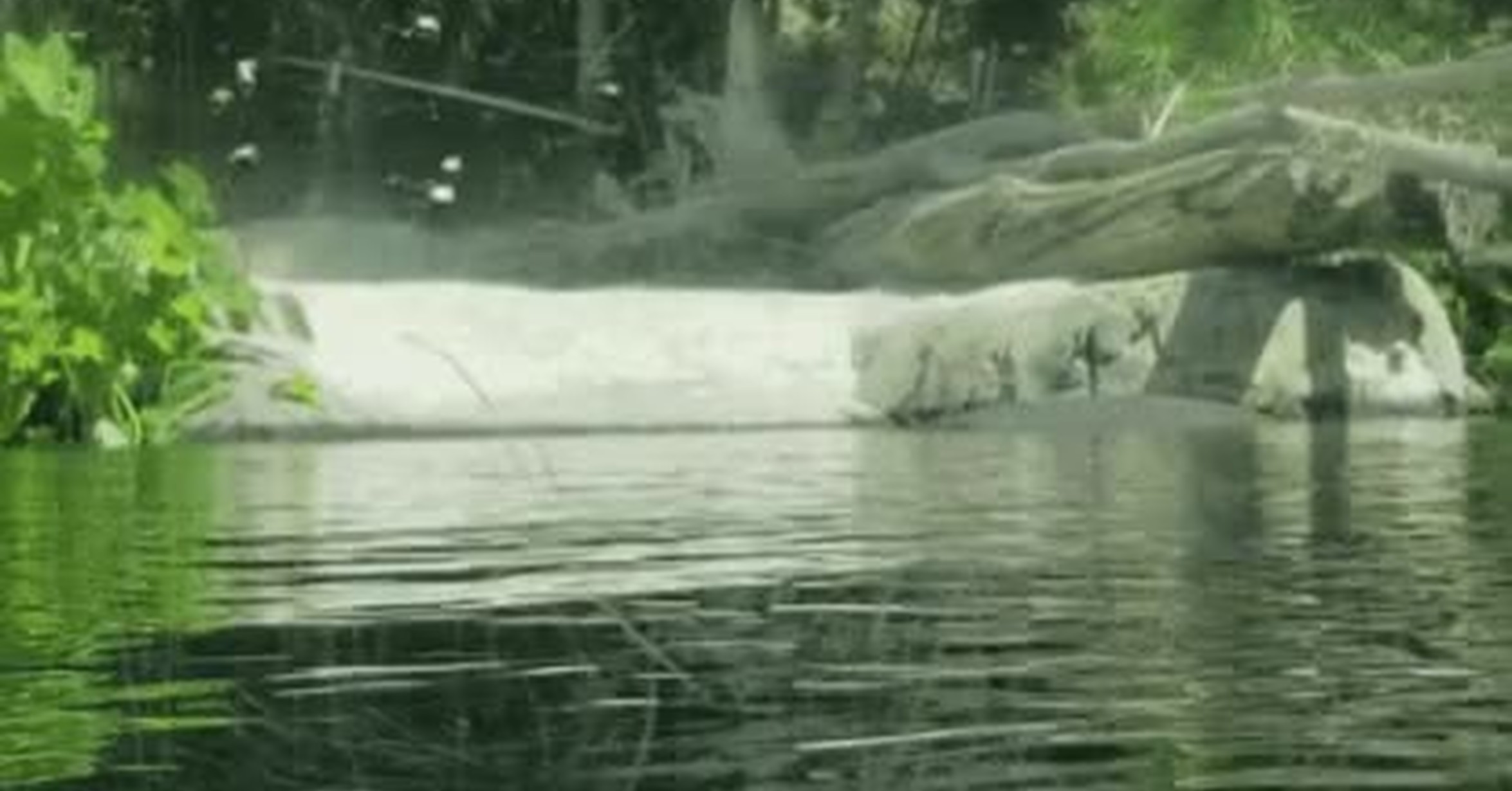 ¡Vaya GIF! / Nunca sabes lo que se puede esconder en las profundidades