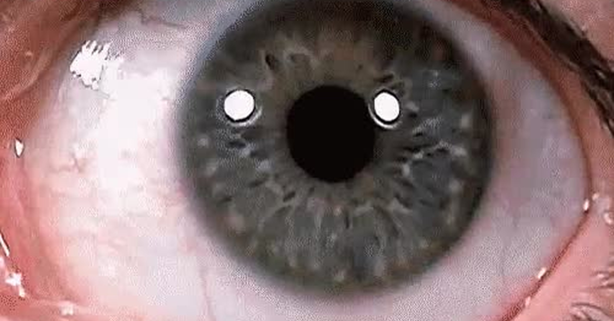 ¡Vaya GIF! / As se mueve el ojo humano en cámara lenta