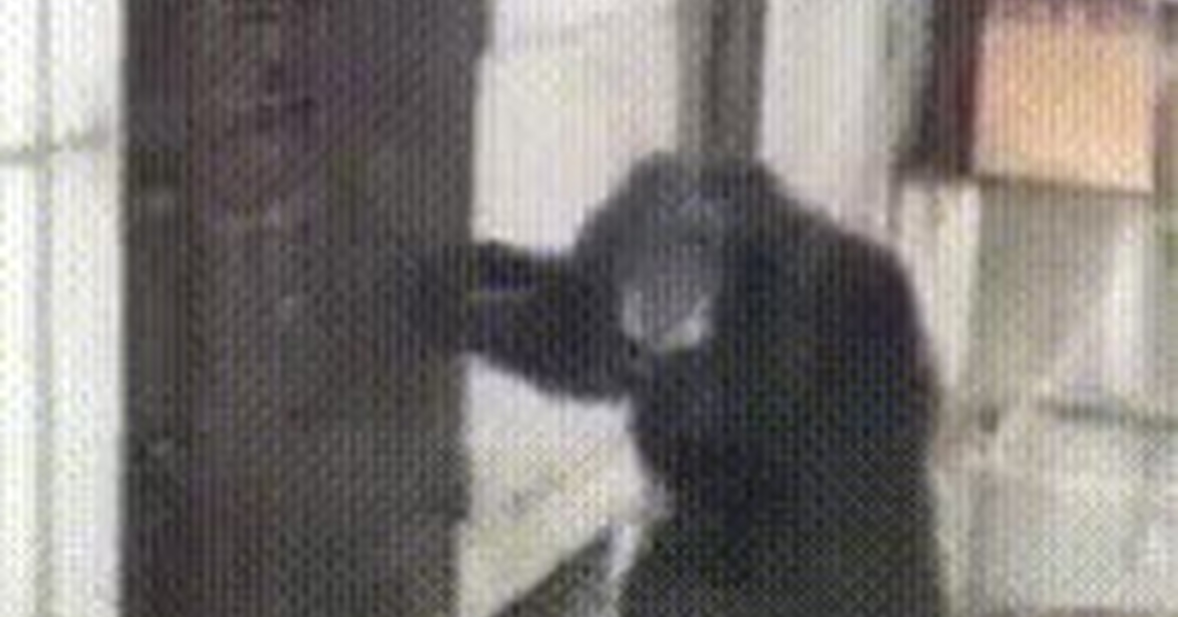 ¡Vaya GIF! / Cuando tienes que ir al lavabo y tu hermano lleva dos ...