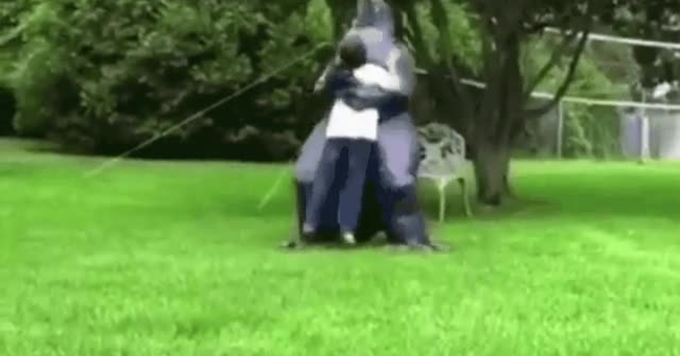¡Vaya GIF! / Cariño, ve a darle un abrazo a Godzilla. No pasará nada