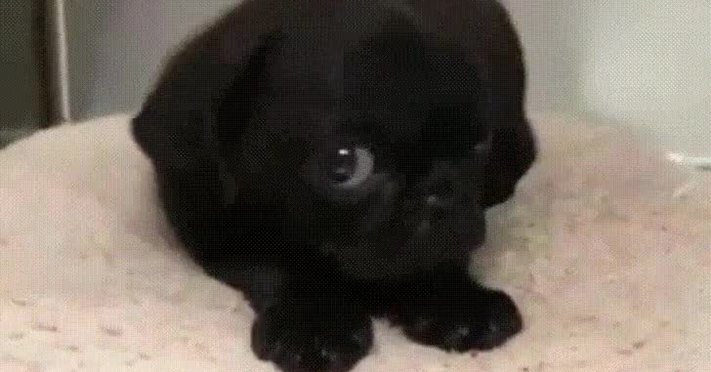 ¡Vaya GIF! / Cuando eres tímido pero quieres hablar con la chica que te ...