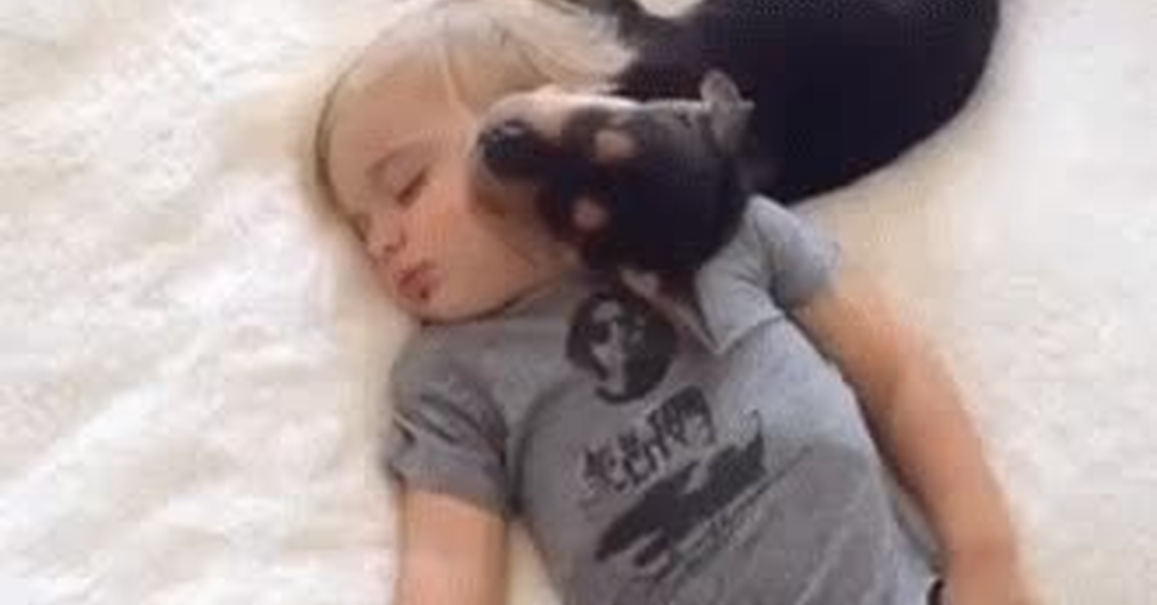 ¡Vaya GIF! / Siestas amorosas de muchas horas al lado de quien mejor te ...