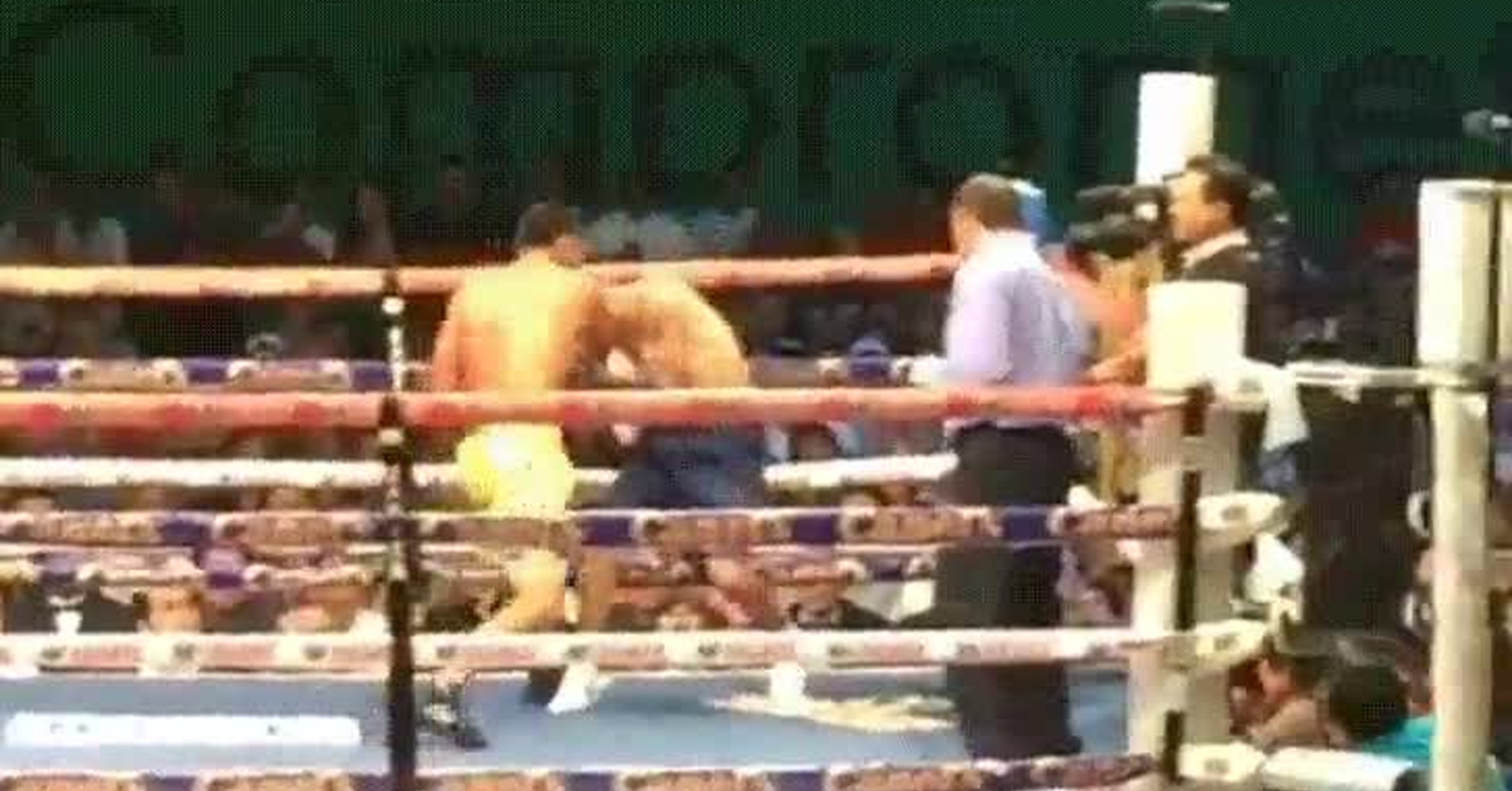 ¡Vaya GIF! / Un boxeador tan rápido que es capaz de esquivar todos los ...