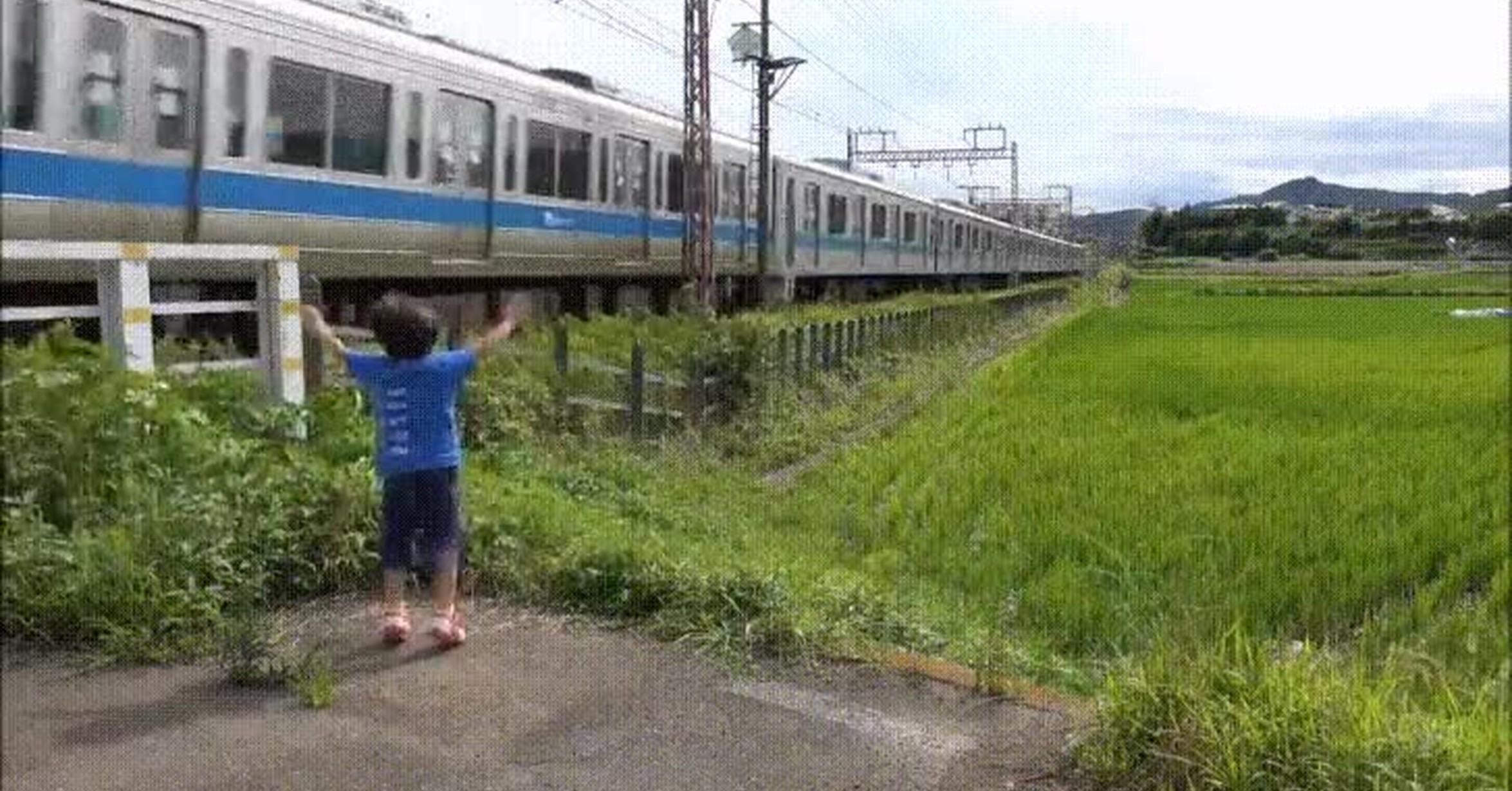 ¡Vaya GIF! / Adios Señor Treeeeeeeen. Hola Señor Treeeeeen