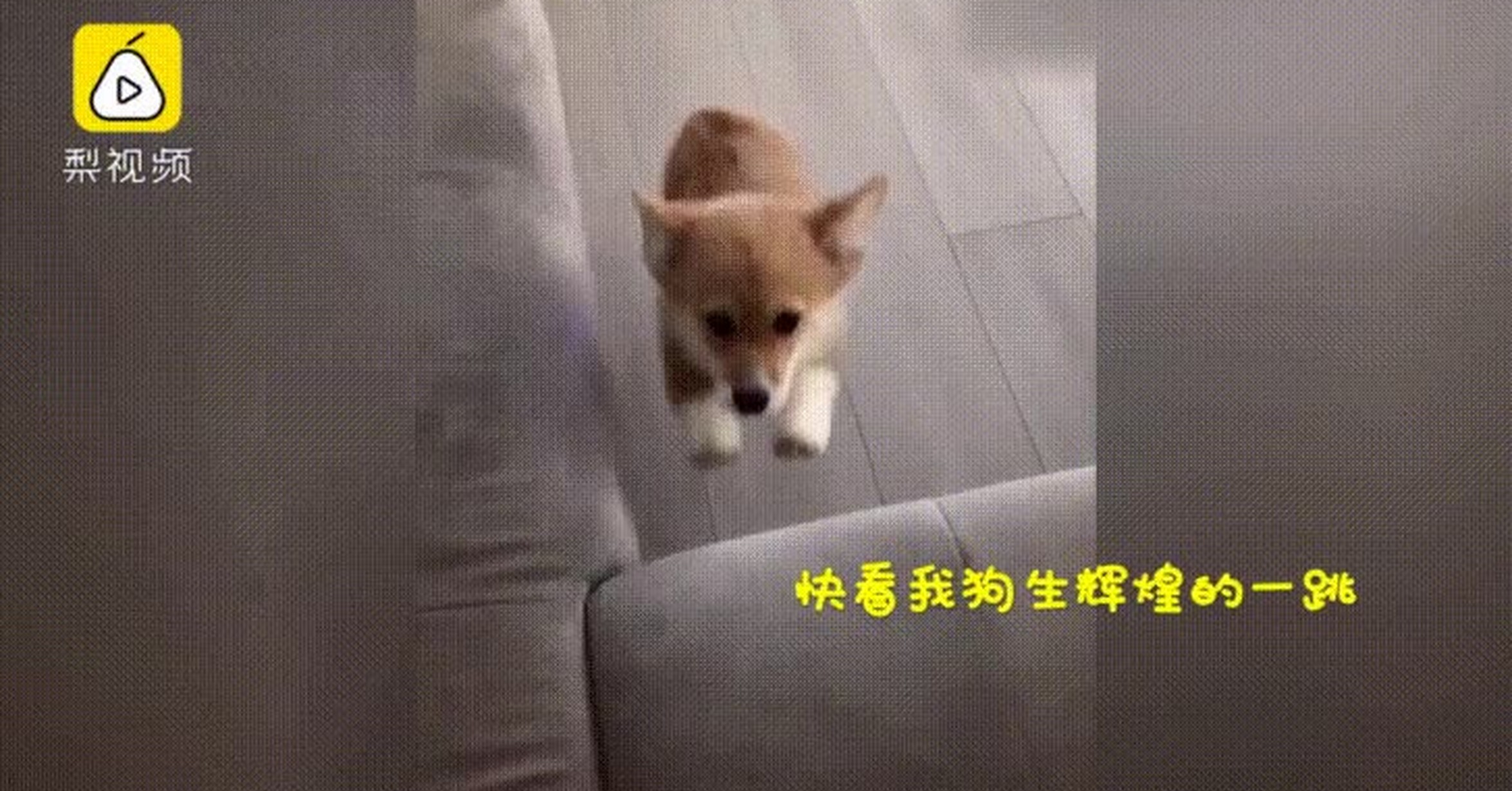 ¡Vaya GIF! / Yo intentando cumplir las metas en mi vida