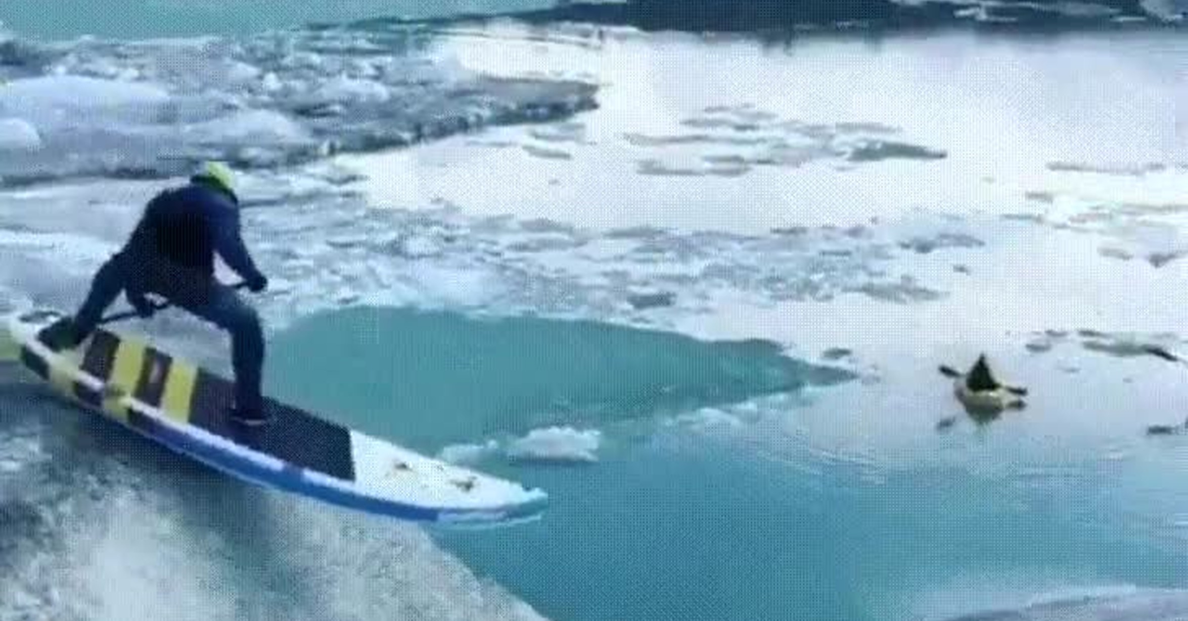 ¡Vaya GIF! / Ice surfing, el deporte de moda