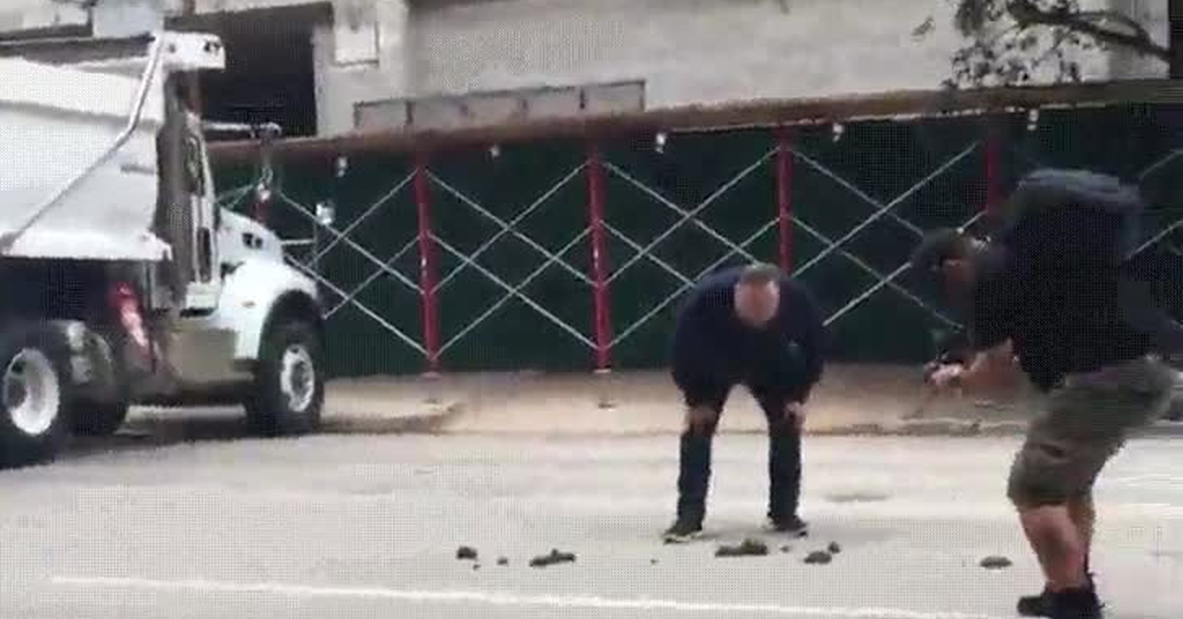 ¡Vaya GIF! / Alex Jones chillando a un trozo de caca. Literal