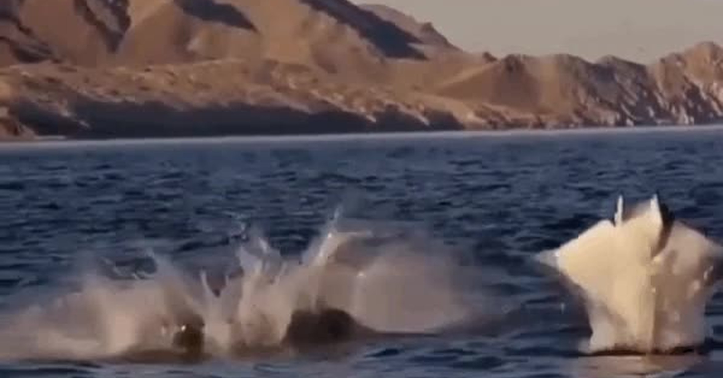 ¡Vaya GIF! / Me recuerda a los planchazos que muchos se dan en la ...