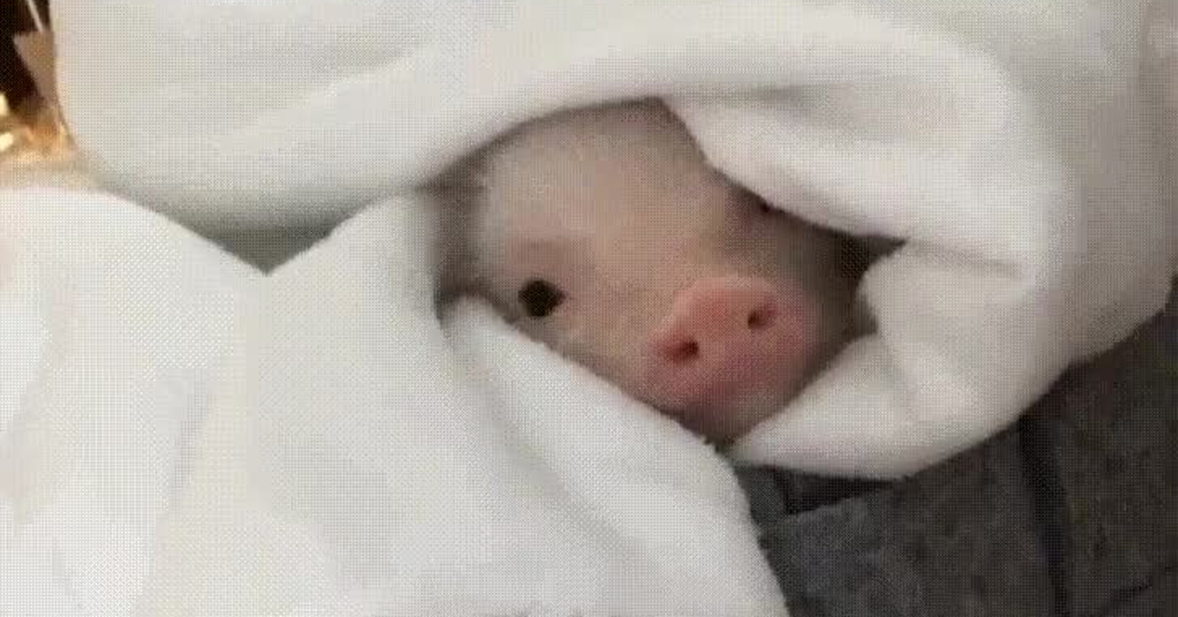 ¡Vaya GIF! / Cuando estás en la cama y sacas la cabeza para comprobar ...