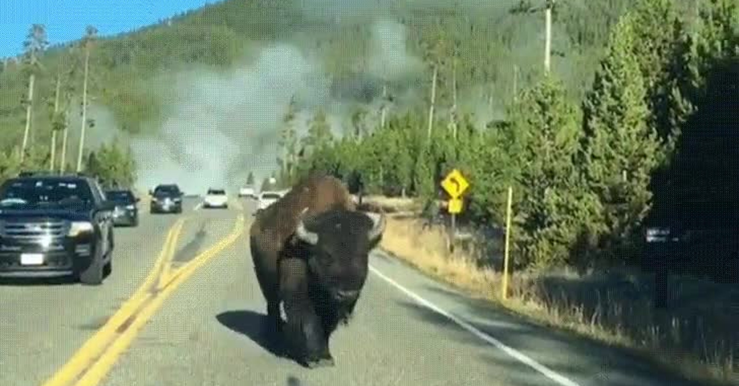 ¡Vaya GIF! / Una tranquila mañana en Yellowstone cuando...