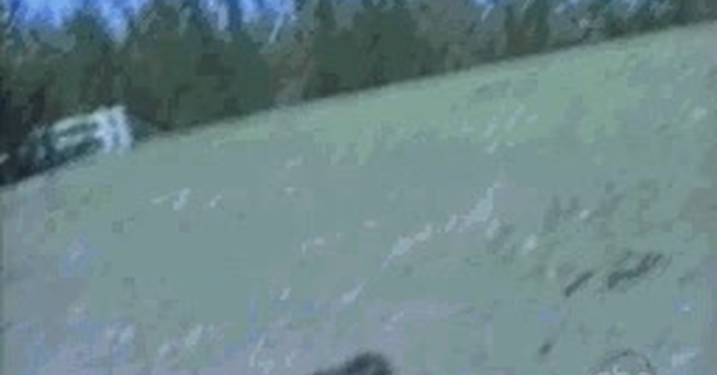 ¡Vaya GIF! / Un gif remember, se lo tiene bien merecido, por tocarle la ...