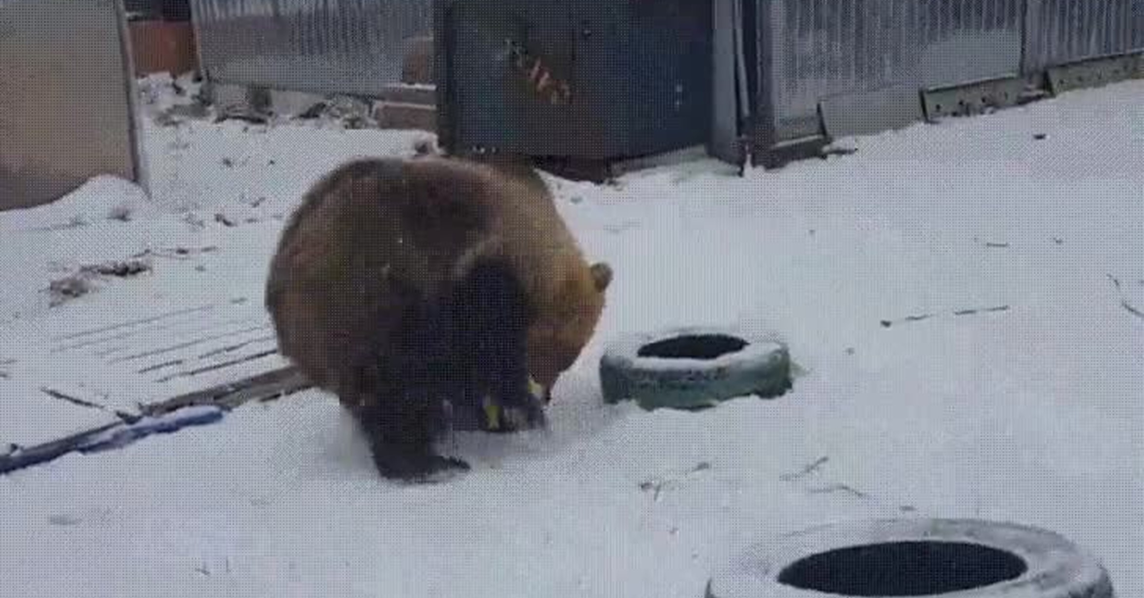 ¡Vaya GIF! / Se nota que ya es viernes
