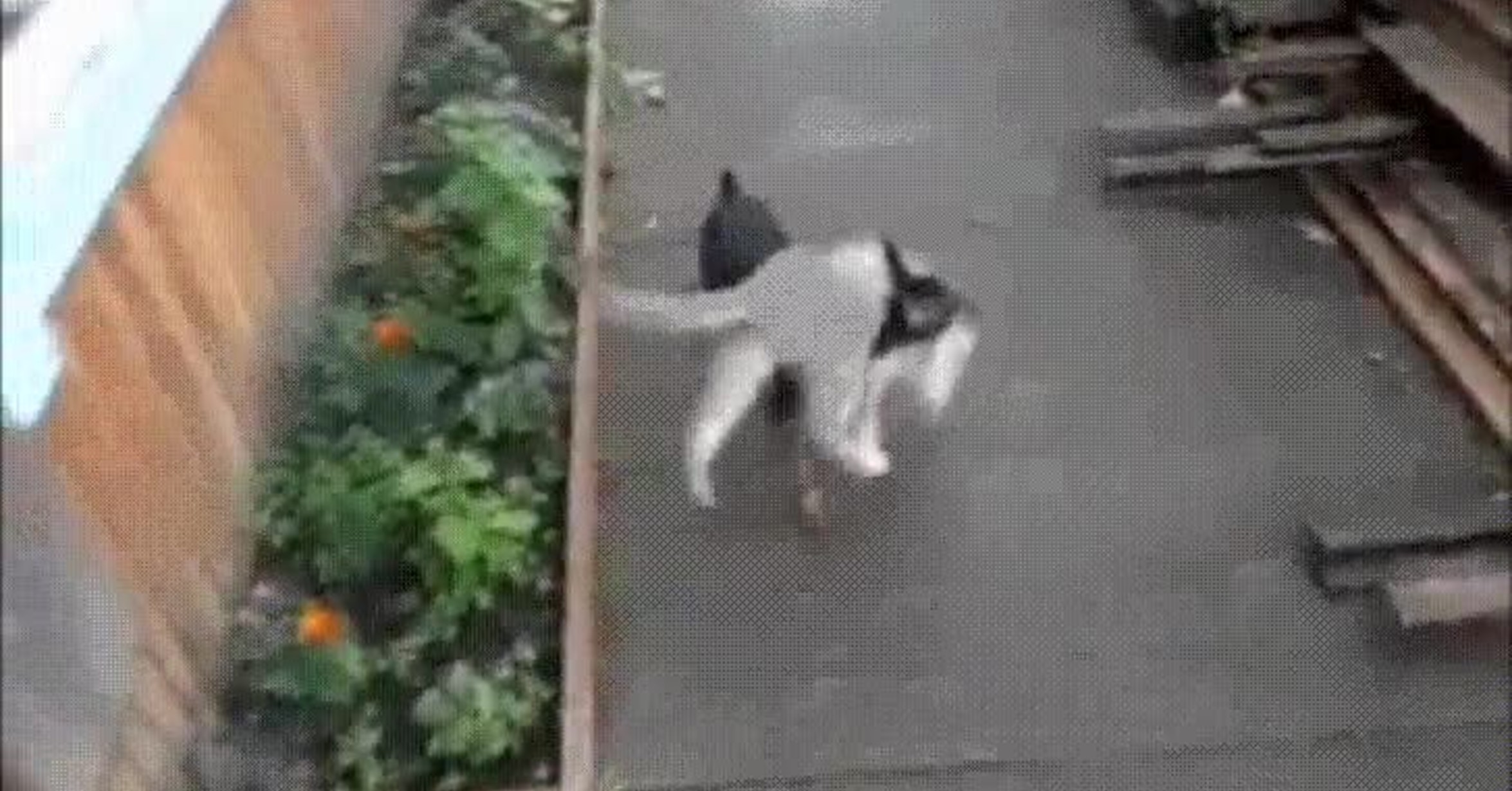 ¡Vaya GIF! / Cuando vas muy borracho y tu amigo te lleva a casa