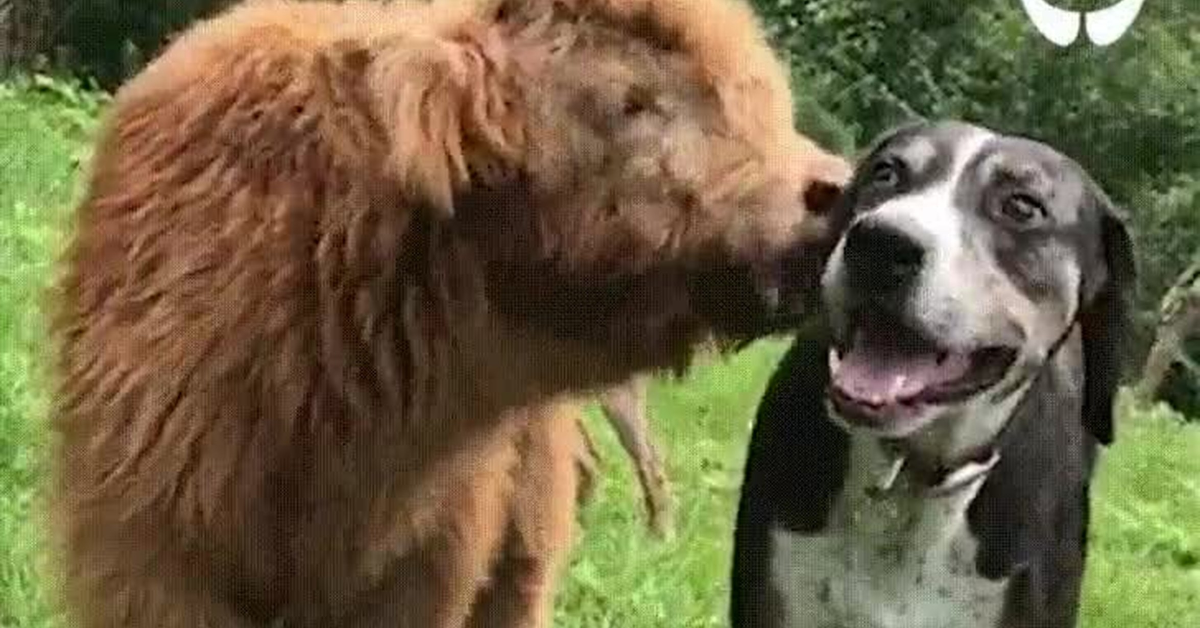 ¡Vaya GIF! / Todo el mundo sabe que los preliminares son importantes